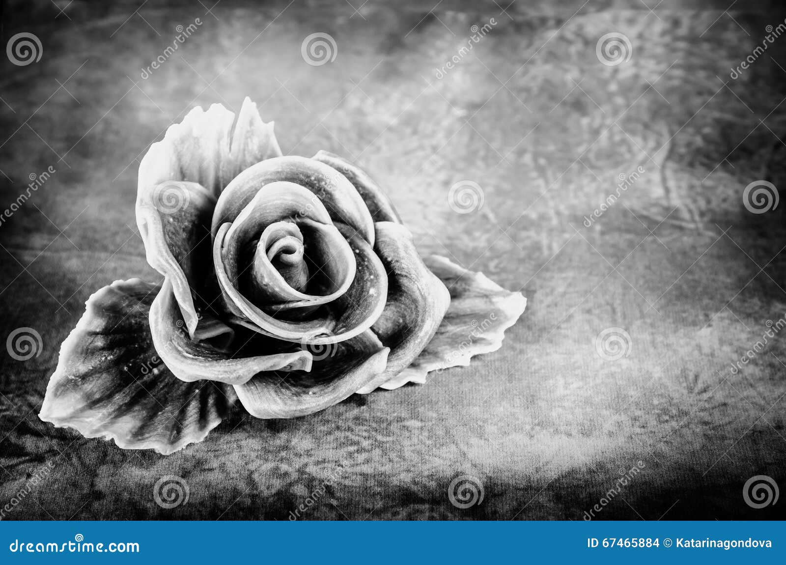 Sad rose flower stock photo. Image of copyspace, flower - 67465884