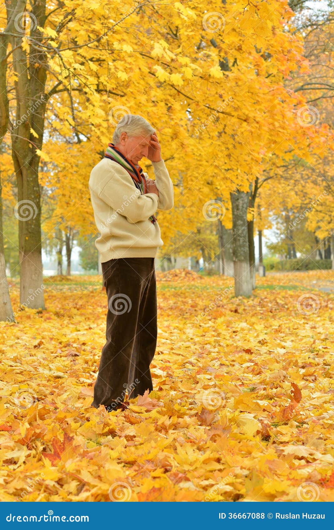 Sad senior man stock photo. Image of nice, grass, lifestyle - 36667088