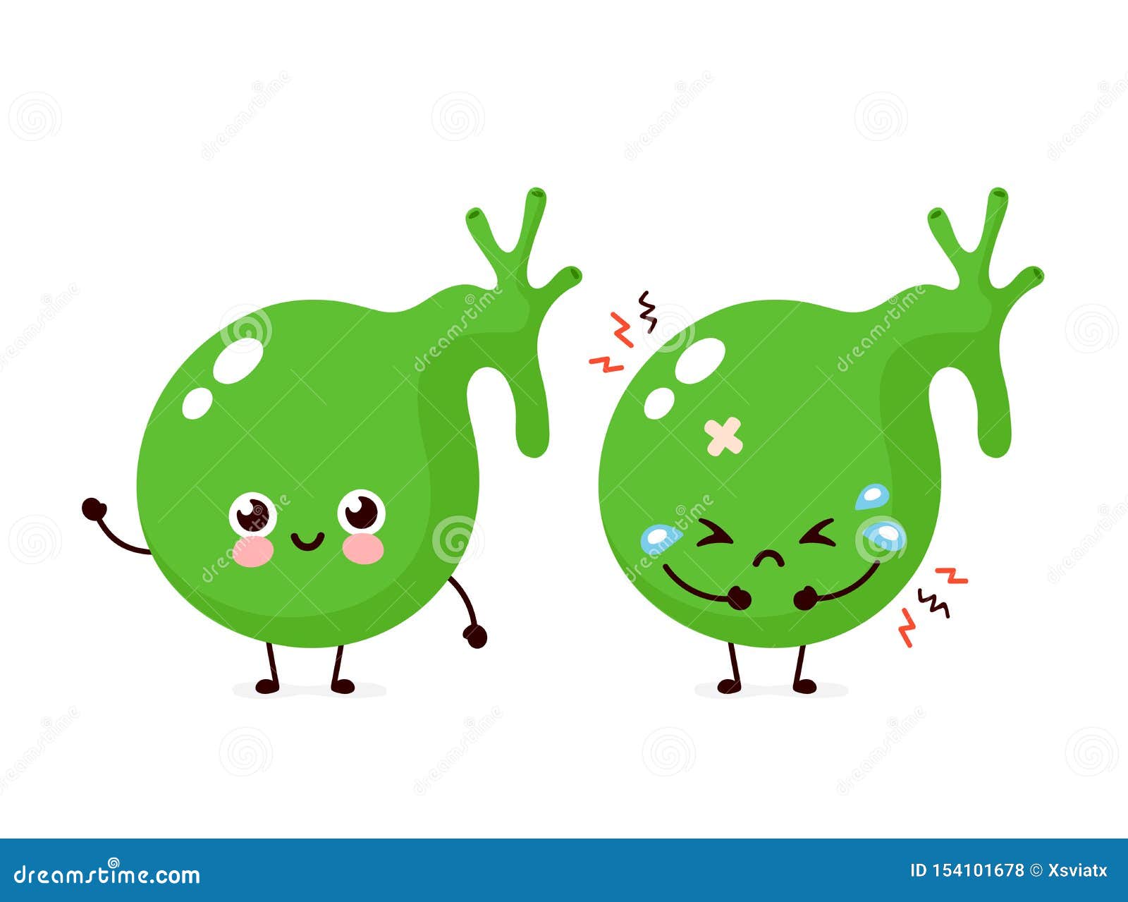Sad Sick and Happy Strong Human Gallbladder Stock Vector - Illustration ... Sad Sick and Happy Strong Human Gallbladder Stock Vector - Illustration ...