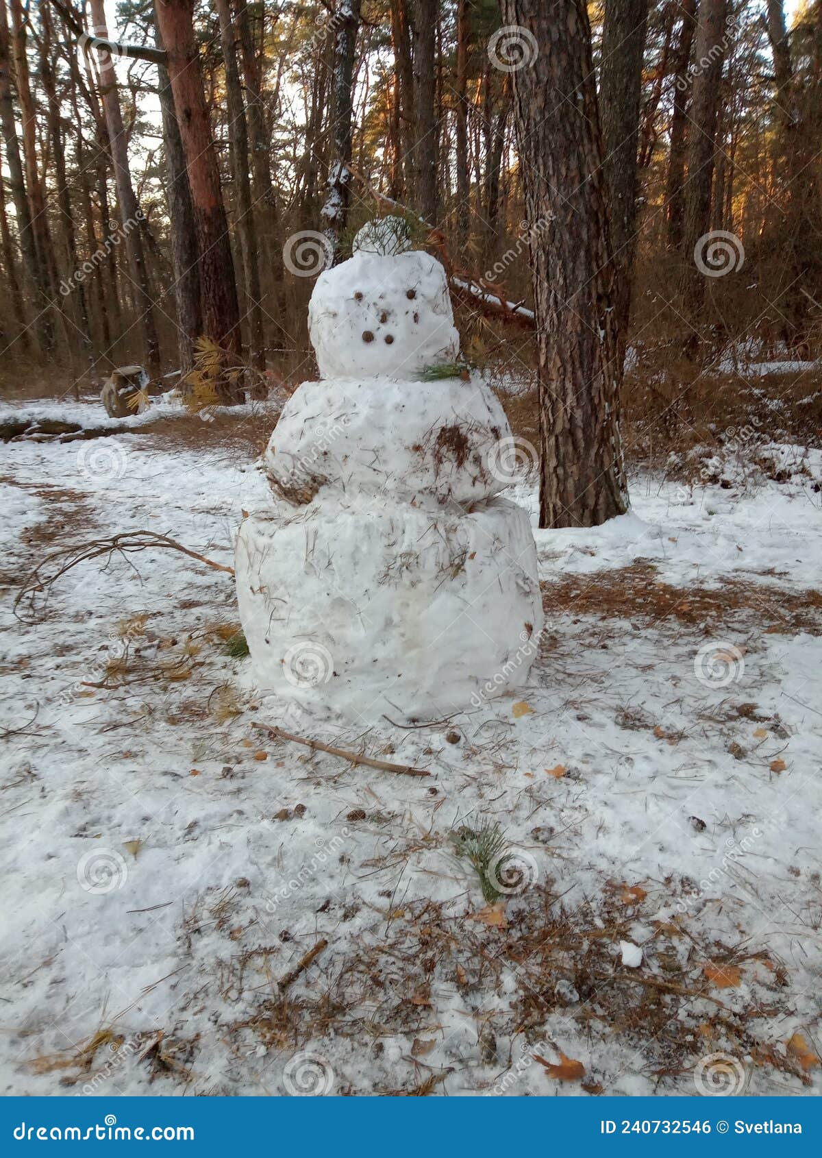 Sad Snow Man stock photo. Image of plant, blizzard, tree - 240732546