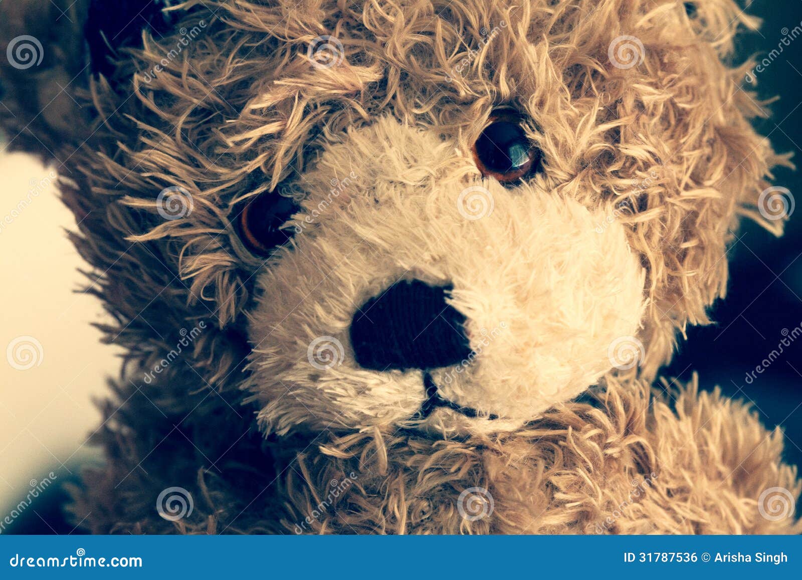 Sad teddy bear stock photo. Image of single, plush, lovable - 31787536