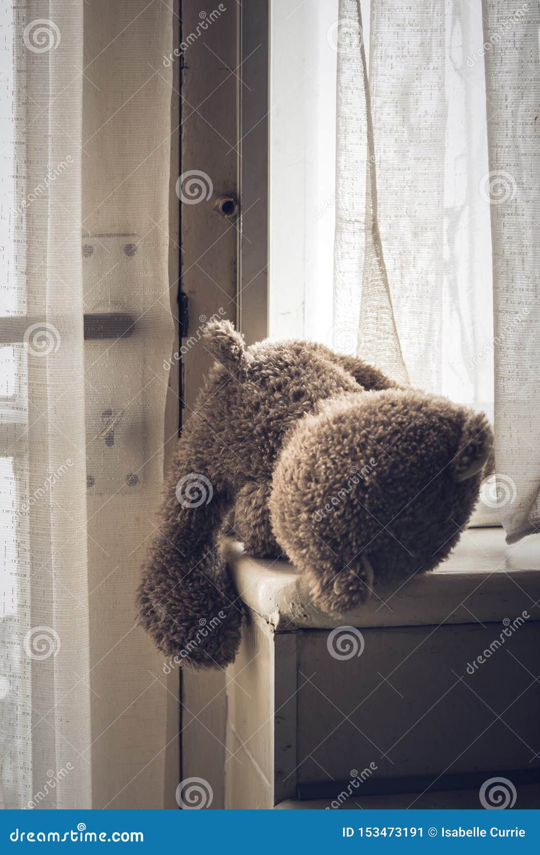 Sad teddy bear left behind stock image. Image of looking - 153473191