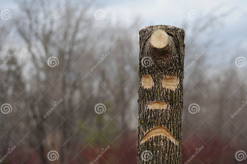 Sad Tree stock photo. Image of depressed, bark, stump - 39945136