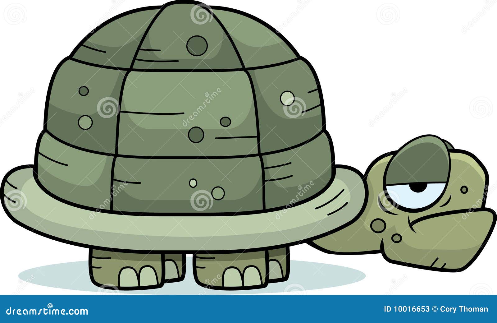 Sad Turtle stock vector. Illustration of slow, cartoon - 10016653