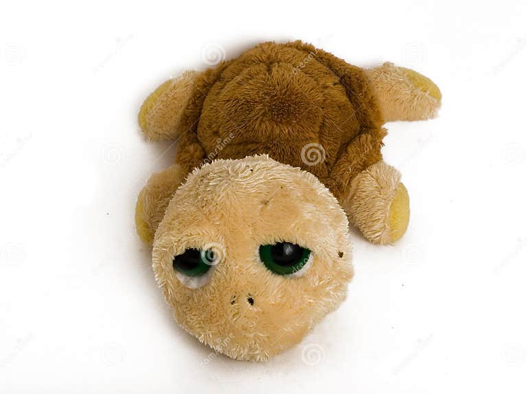 Sad turtle stock photo. Image of turtle, animals, decoration - 5573252