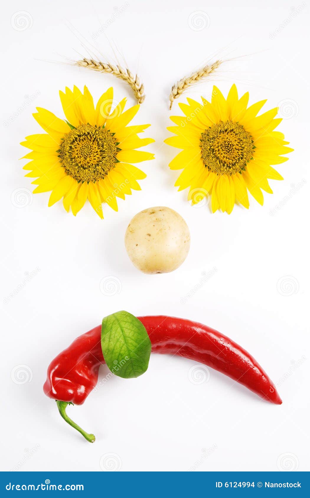 Sad vegetables face stock photo. Image of disappointment - 6124994