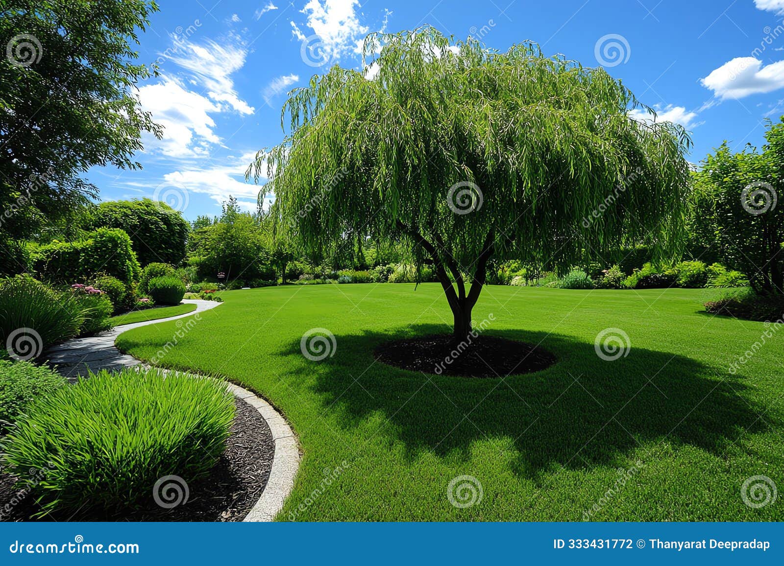 A Sad Willow Tree in an Overgrown Garden, with Its Branches Creating a ...
