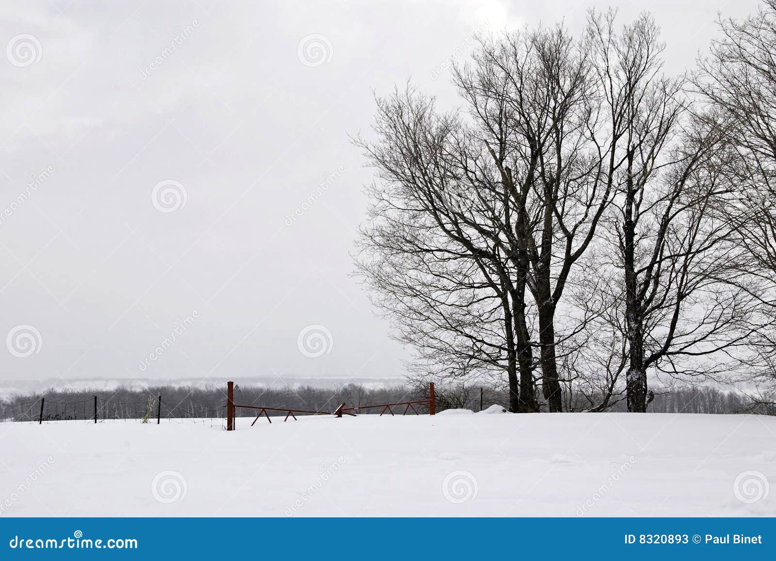 Sad winter stock image. Image of backdrop, design, high - 8320893