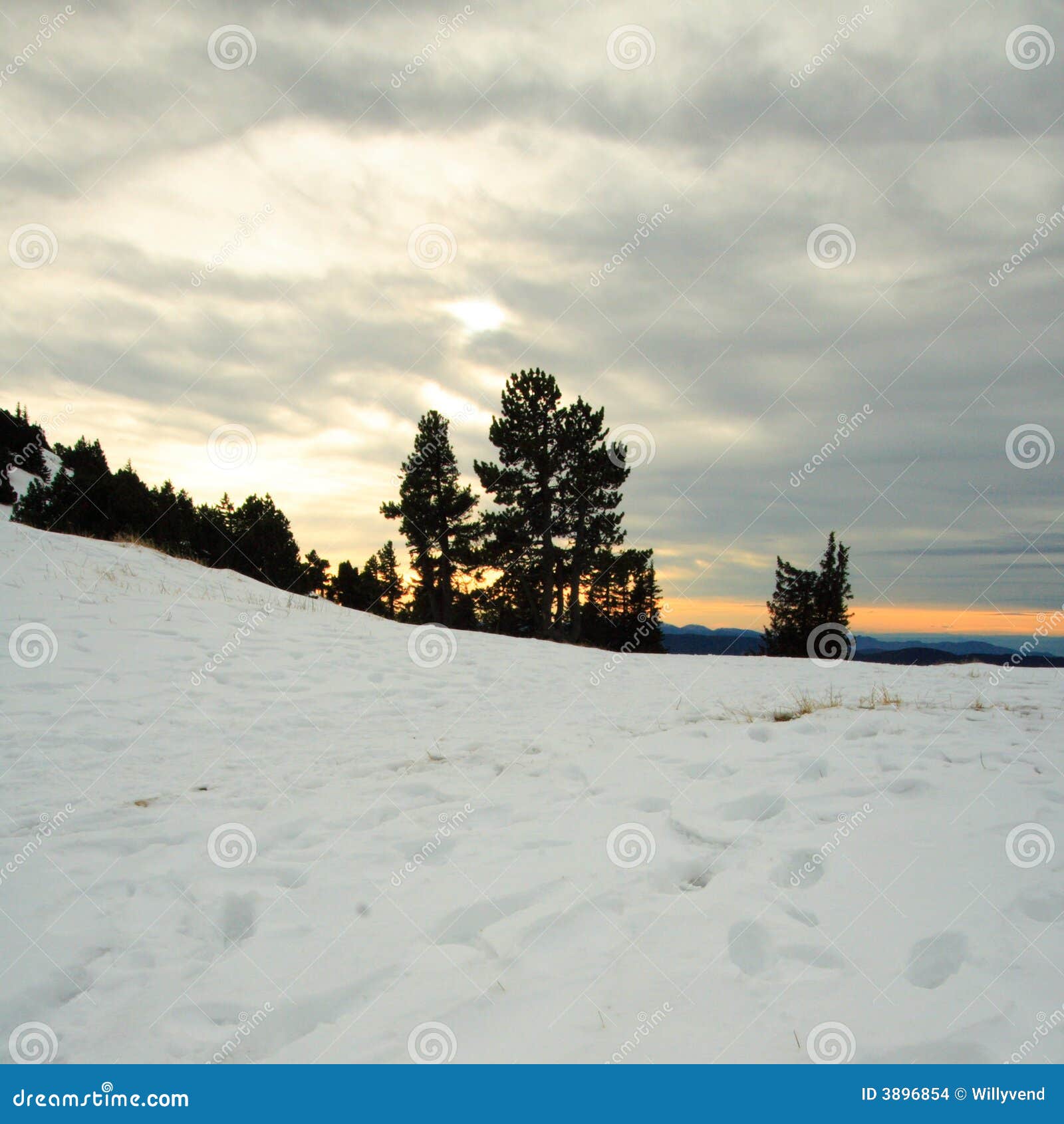 Sad winter day stock photo. Image of cloud, grey, isolated - 3896854
