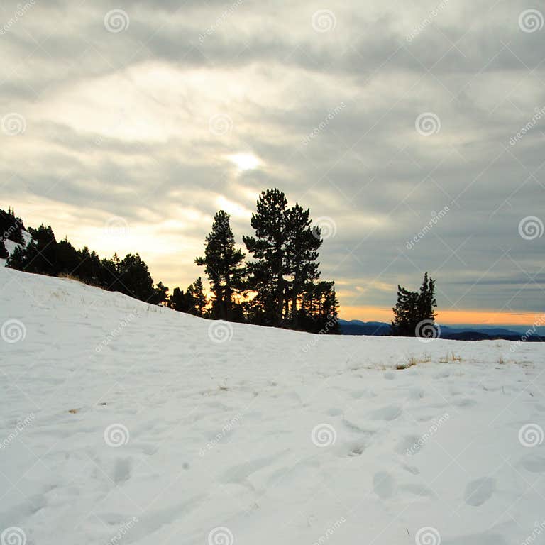 Sad winter day stock photo. Image of cloud, grey, isolated - 3896854