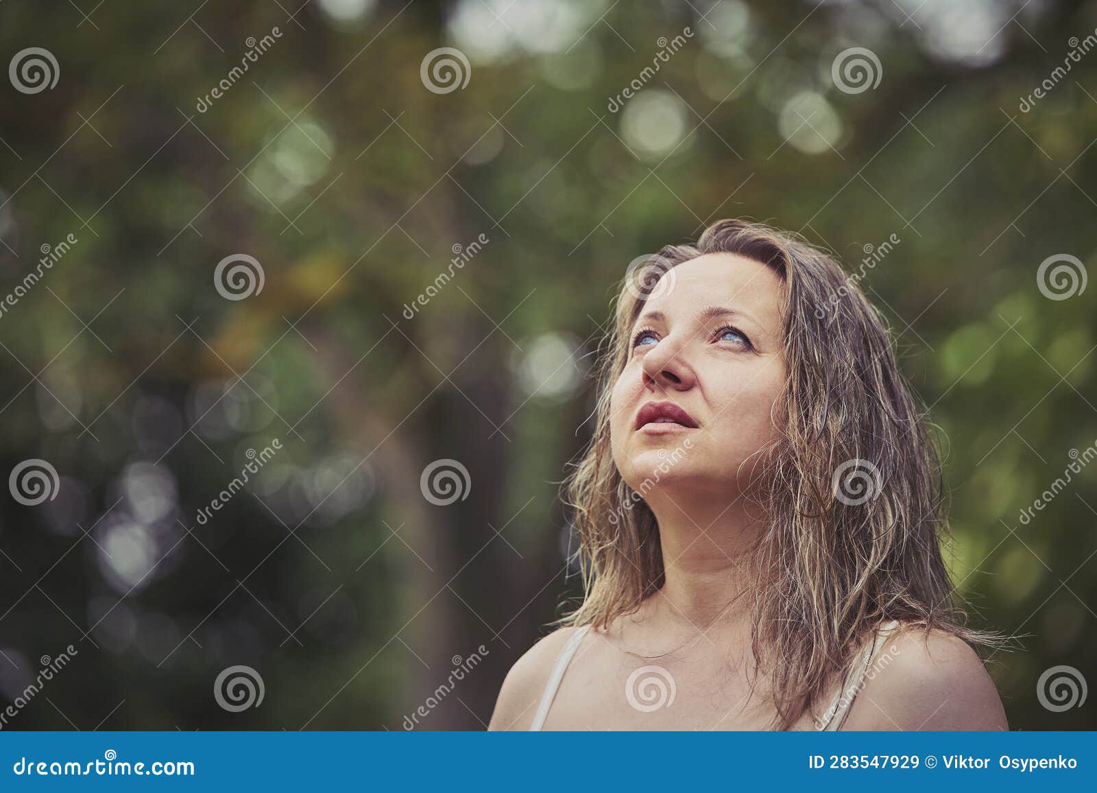 Sad Woman in the Evening Forest Looking Up at the Sky Stock Image ...