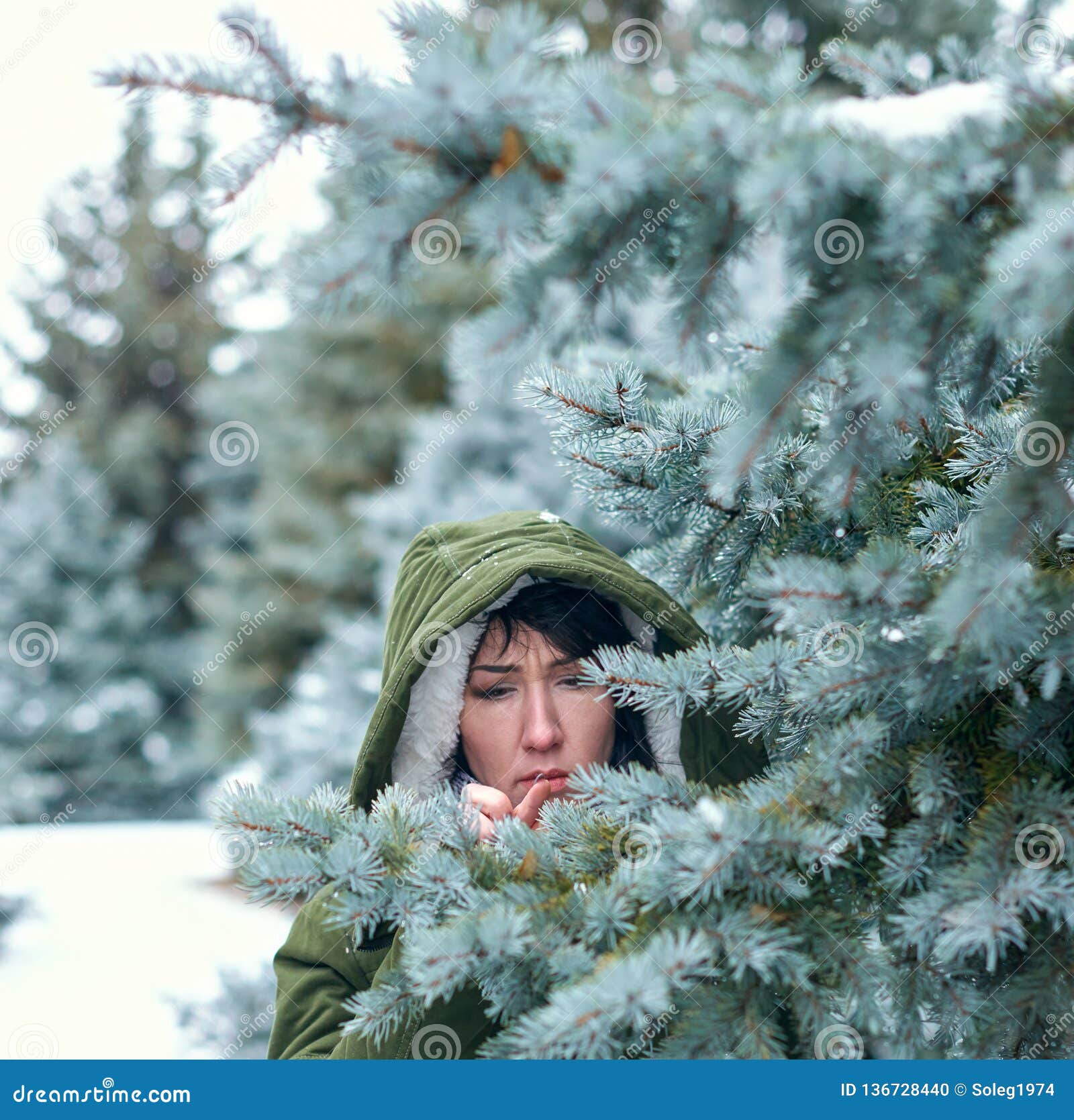 Sad Woman is Touching Fir Tree Branches in Winter Forest Stock Photo ...