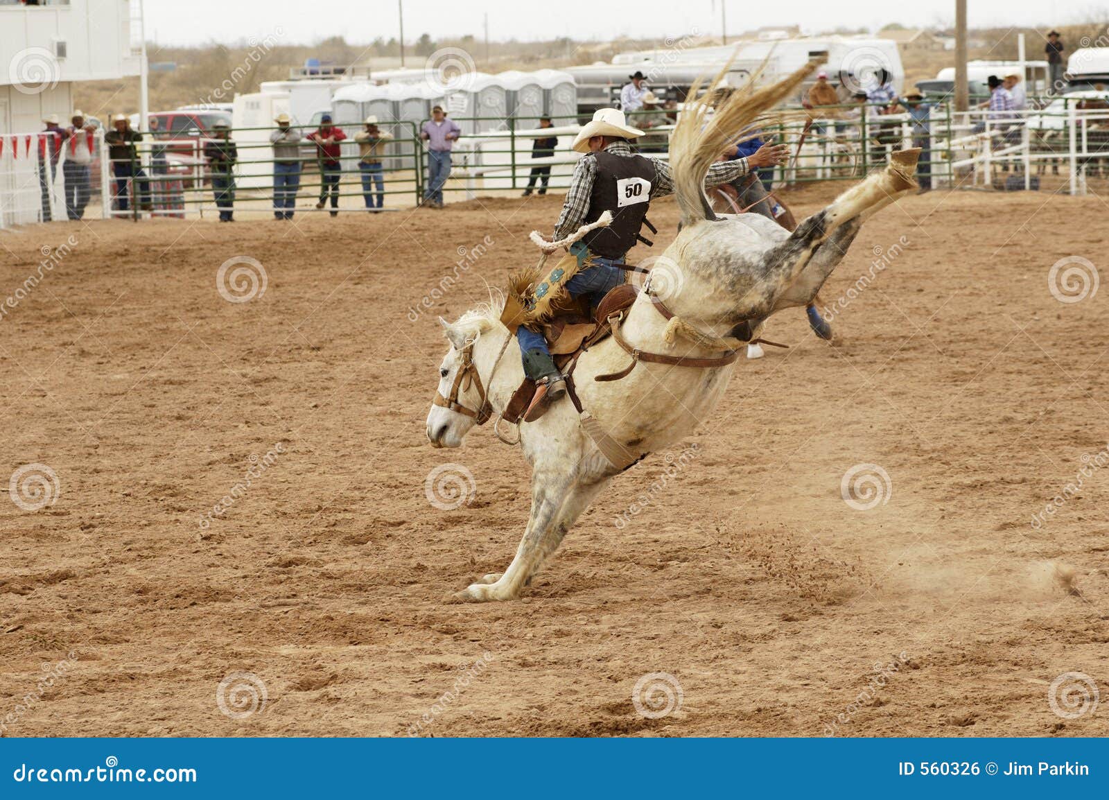 Saddle bronc 1 stock photo. Image of cattle, ranch, arena - 560326