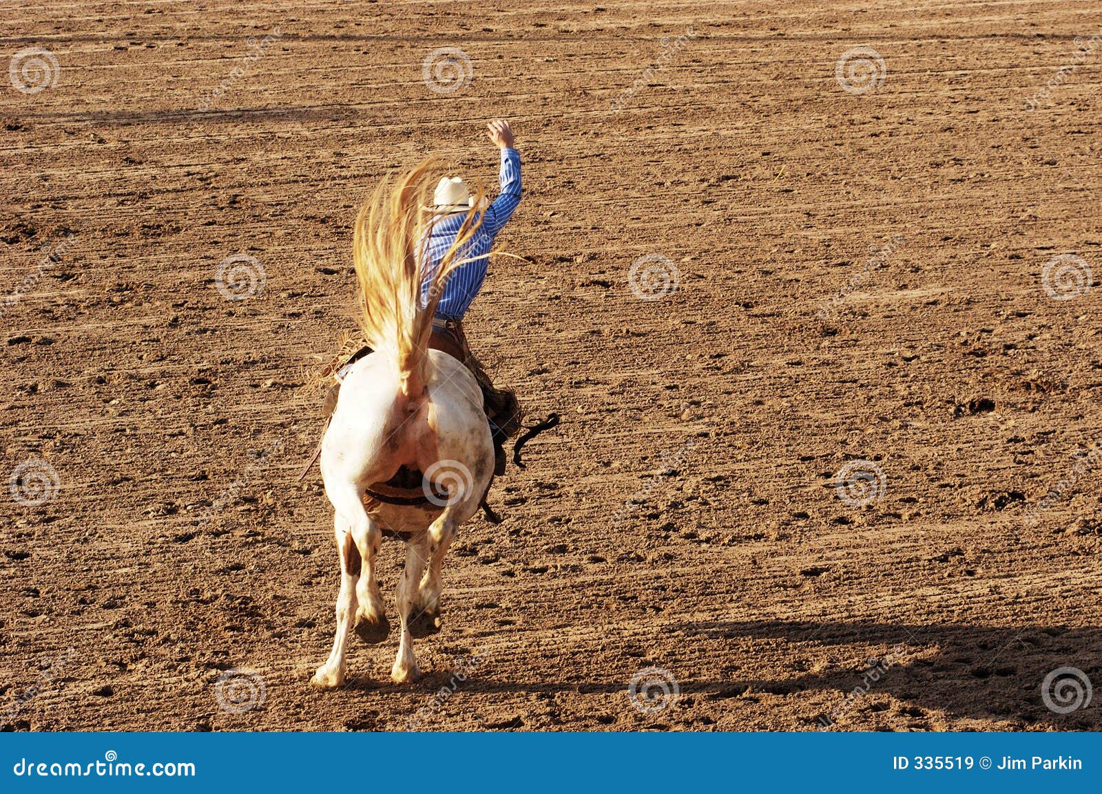 Saddle Bronc Picture. Image: 335519