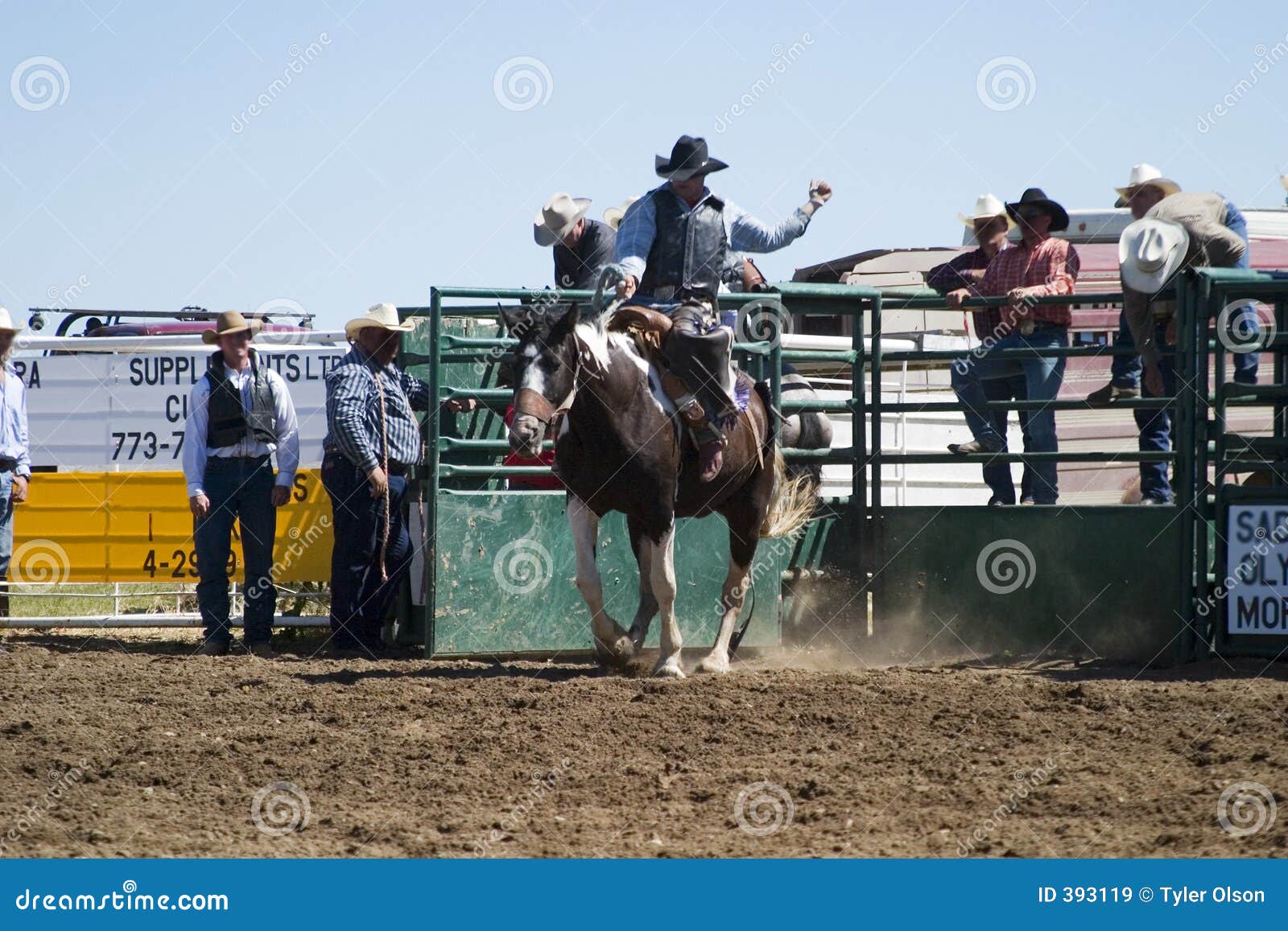 Saddle Bronc editorial stock image. Image of canada, brave - 393119