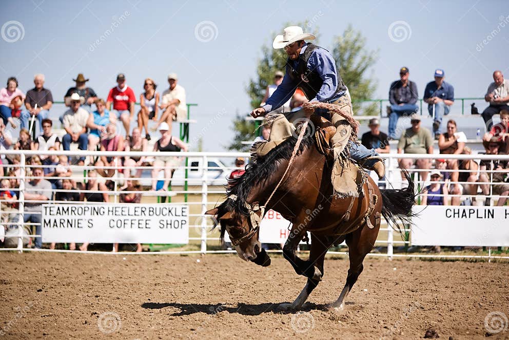 Saddle Bronc editorial photo. Image of stampede, rider - 4258326