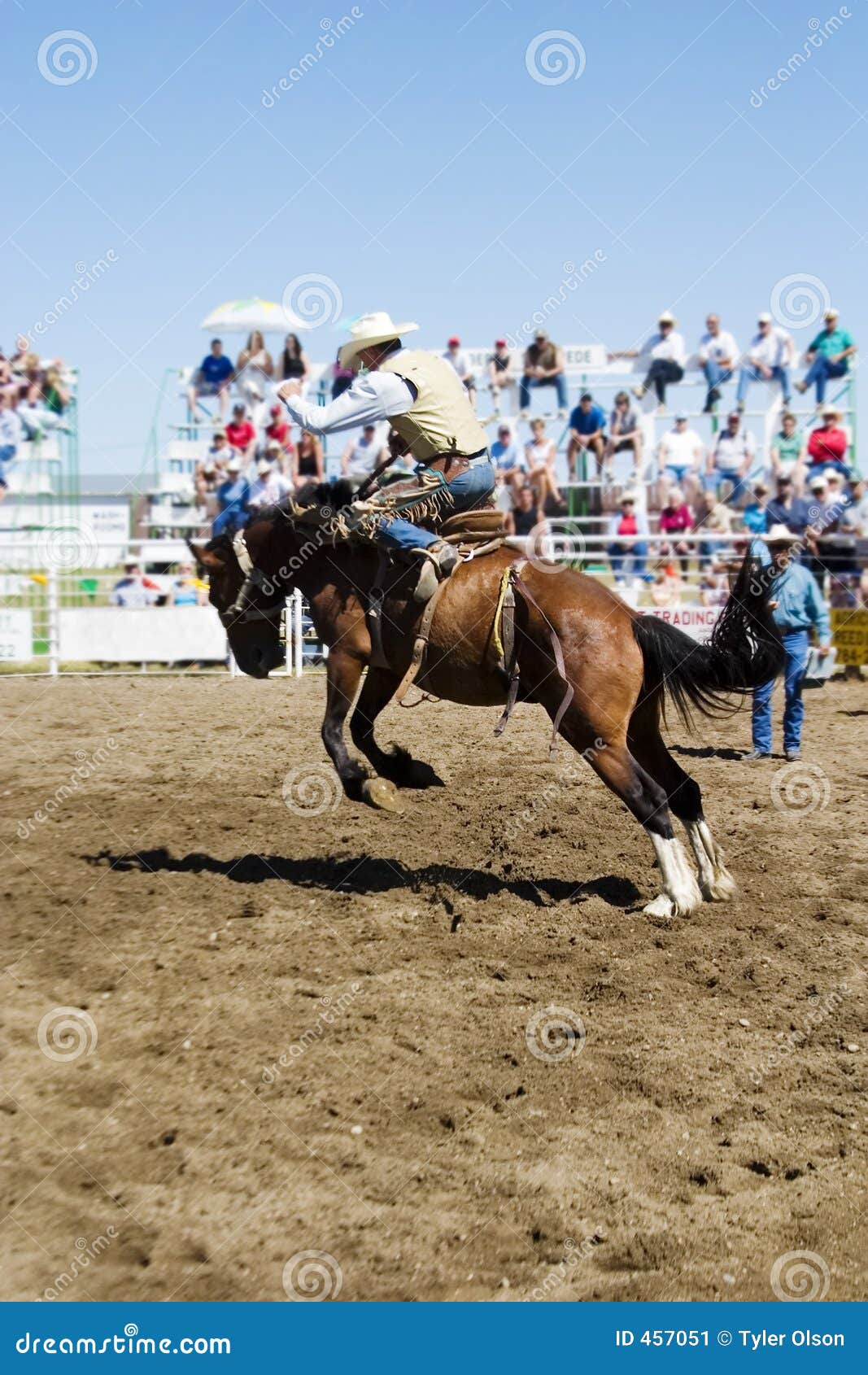 Saddle Bronc editorial photo. Image of human, blue, dirt - 457051