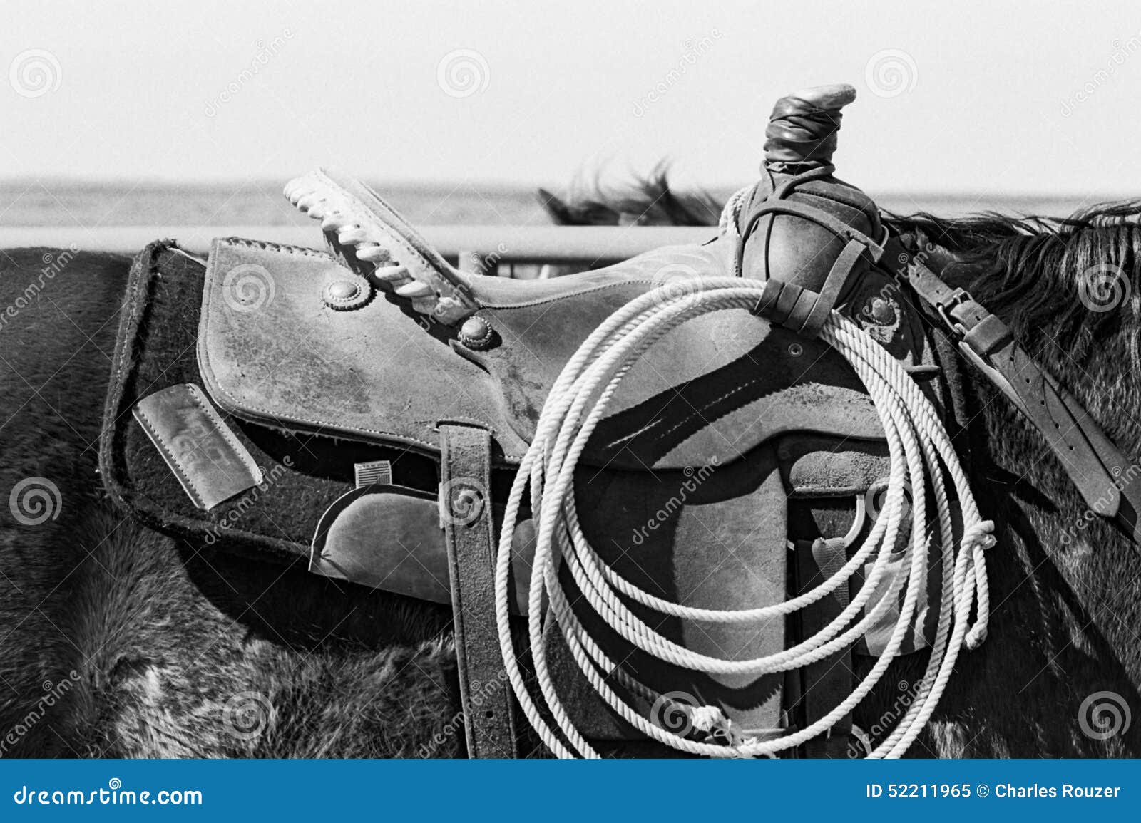 Saddle and Lariat stock image. Image of western, lariat - 52211965