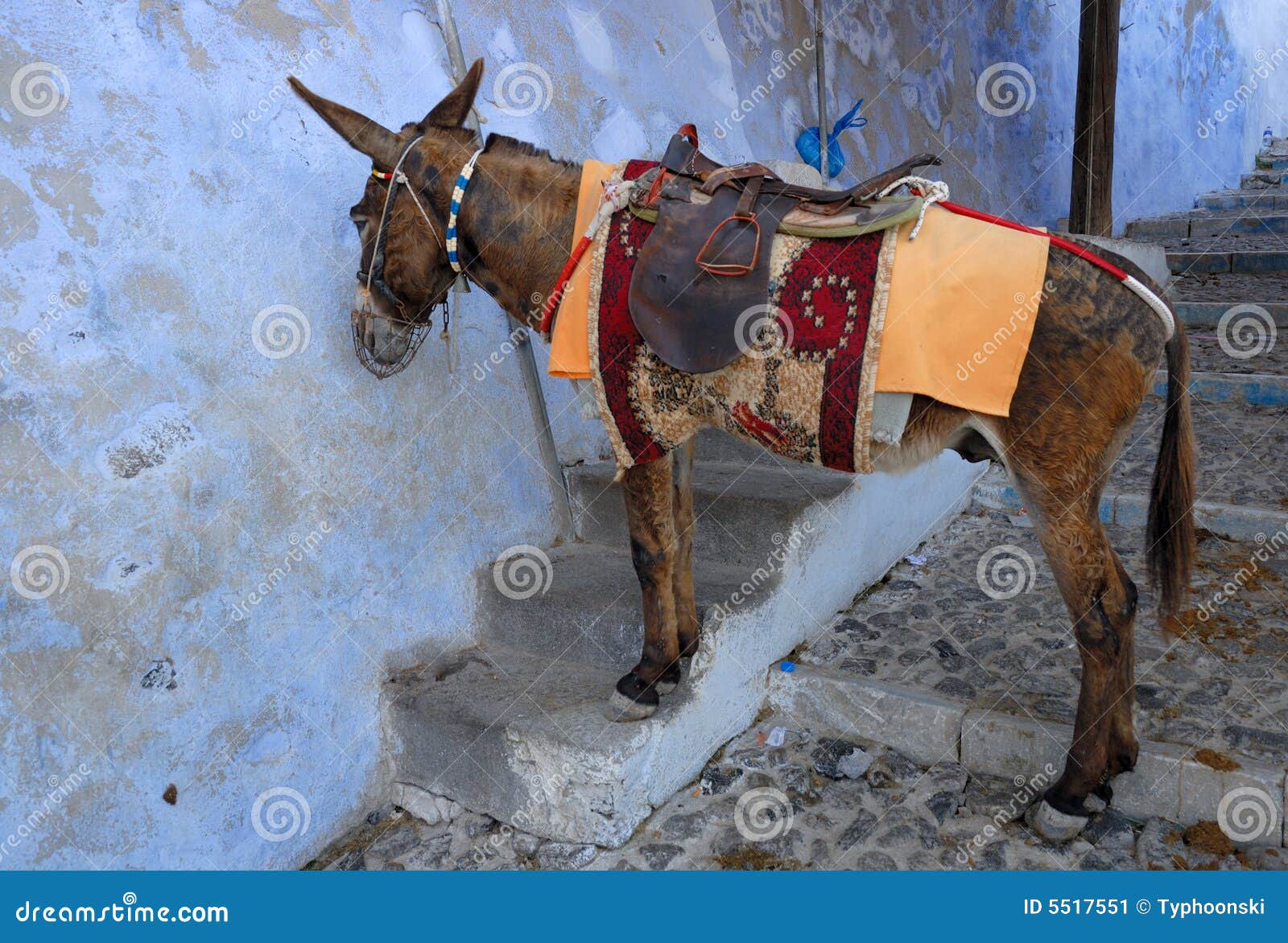 Saddled Mule in Santorini, Greece Stock Image - Image of mammal ...