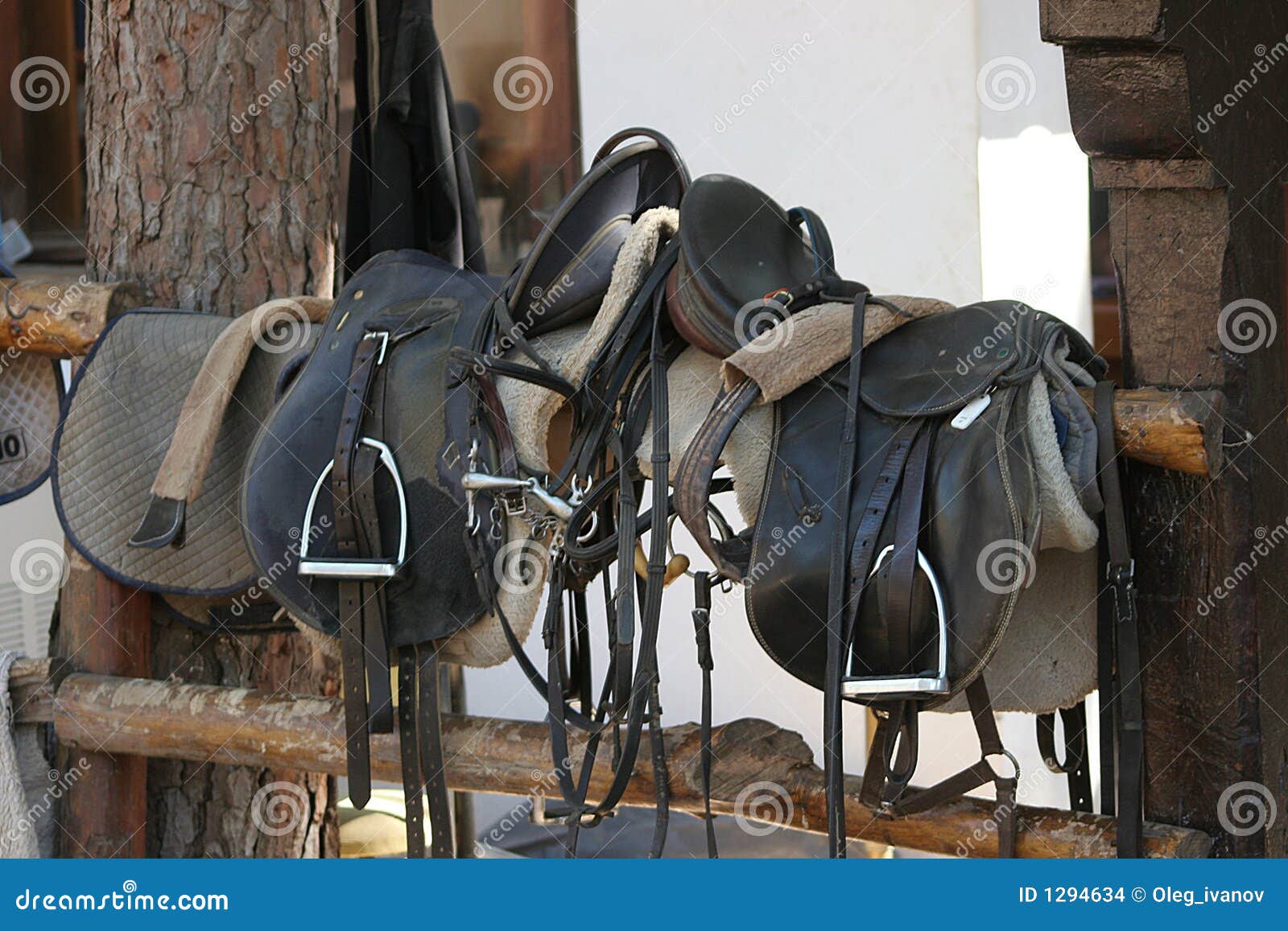 Saddles stock photo. Image of equipment, rein, horsecloth - 1294634