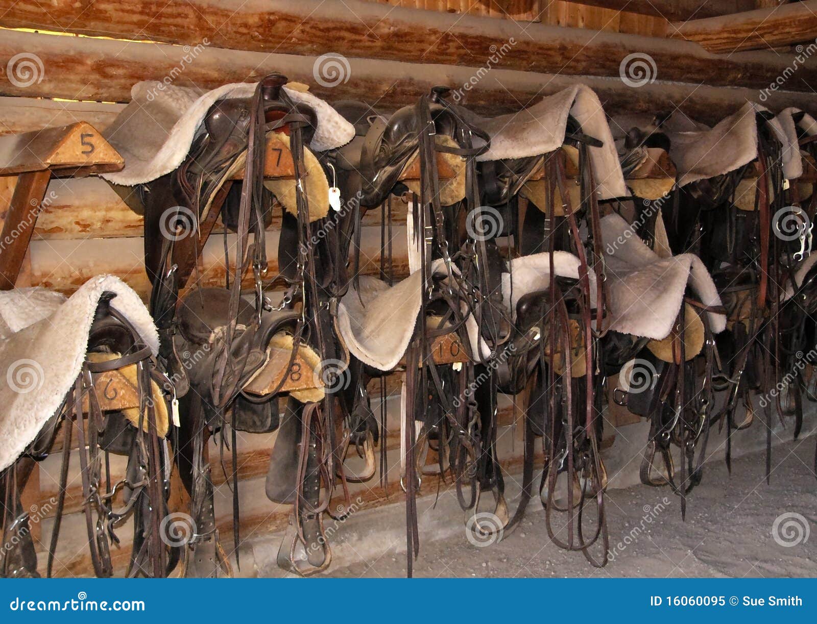 Saddles and Bridles stock image. Image of stirrups, cowboy - 16060095