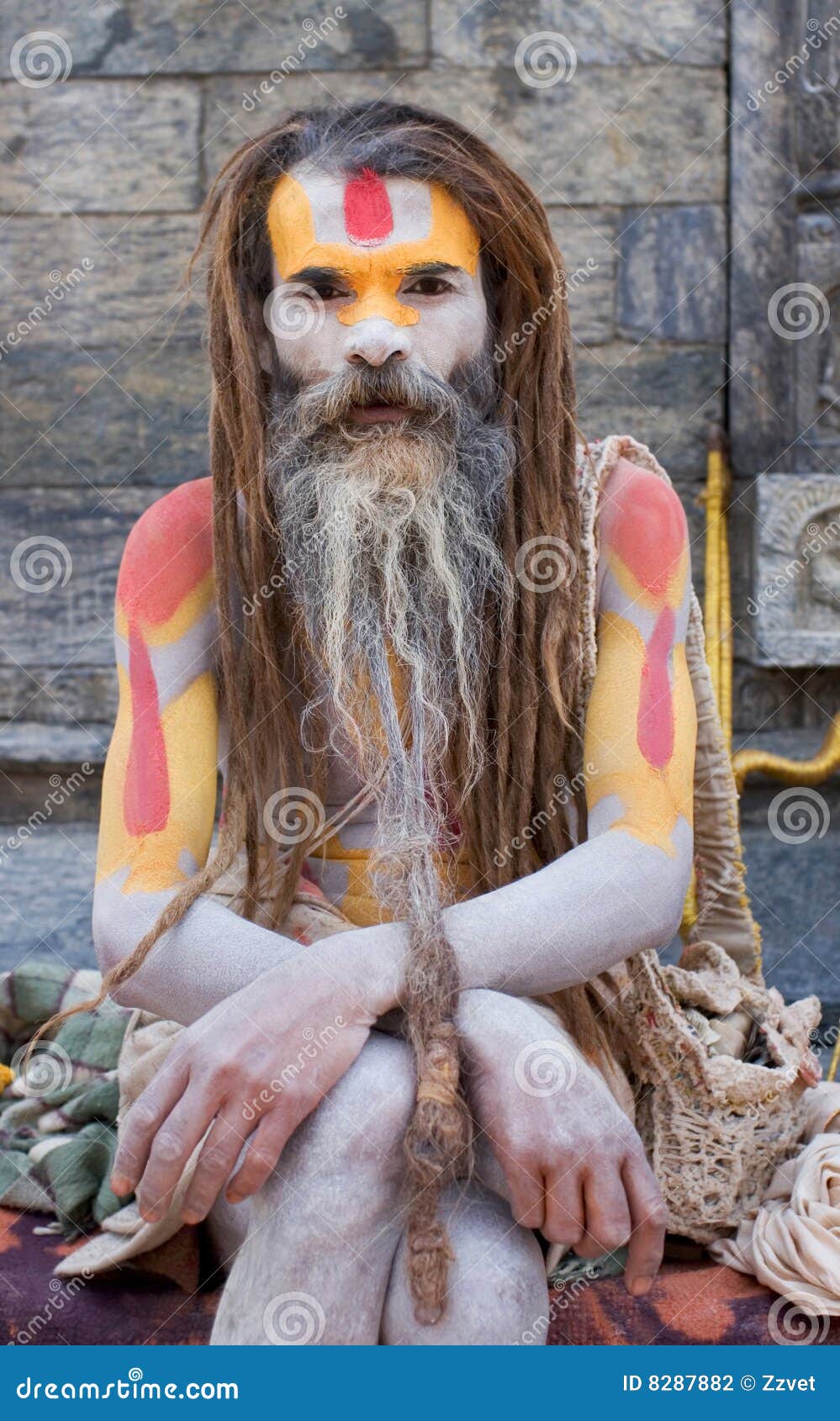 Sadhu (holy man) editorial photography. Image of india - 8287882