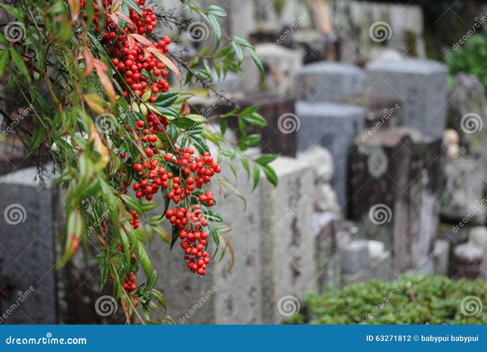 Sadness graveyard stock photo. Image of peaceful, sadness - 63271812