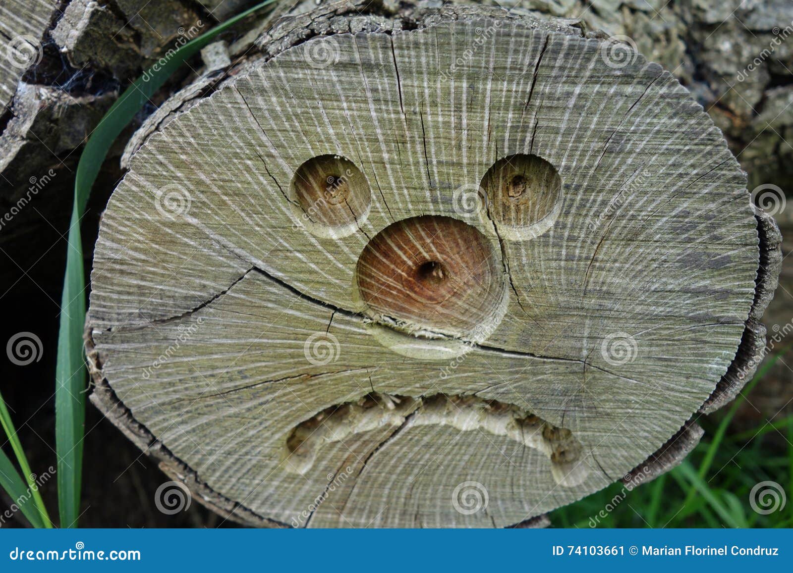 Sadness stock image. Image of tree, face, figure, feeling - 74103661