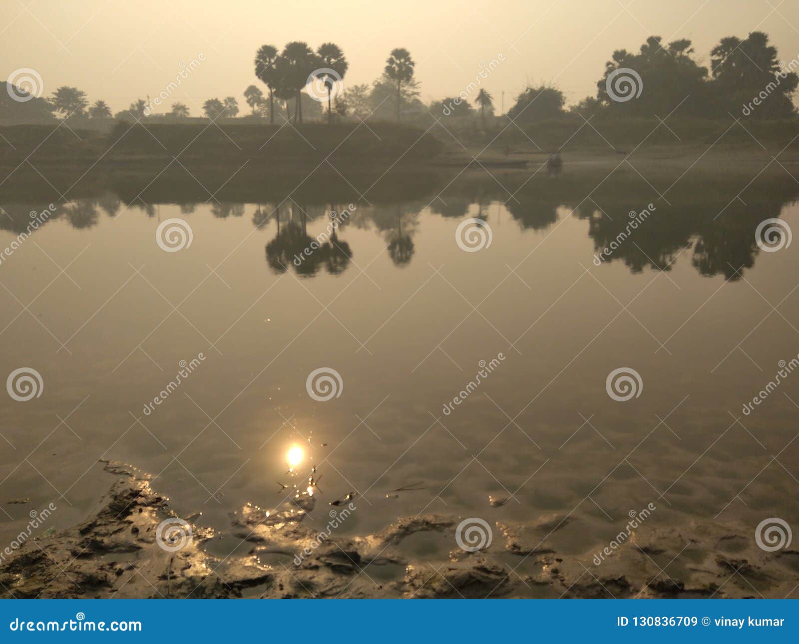 River stock image. Image of trees, soil, natural, water - 130836709