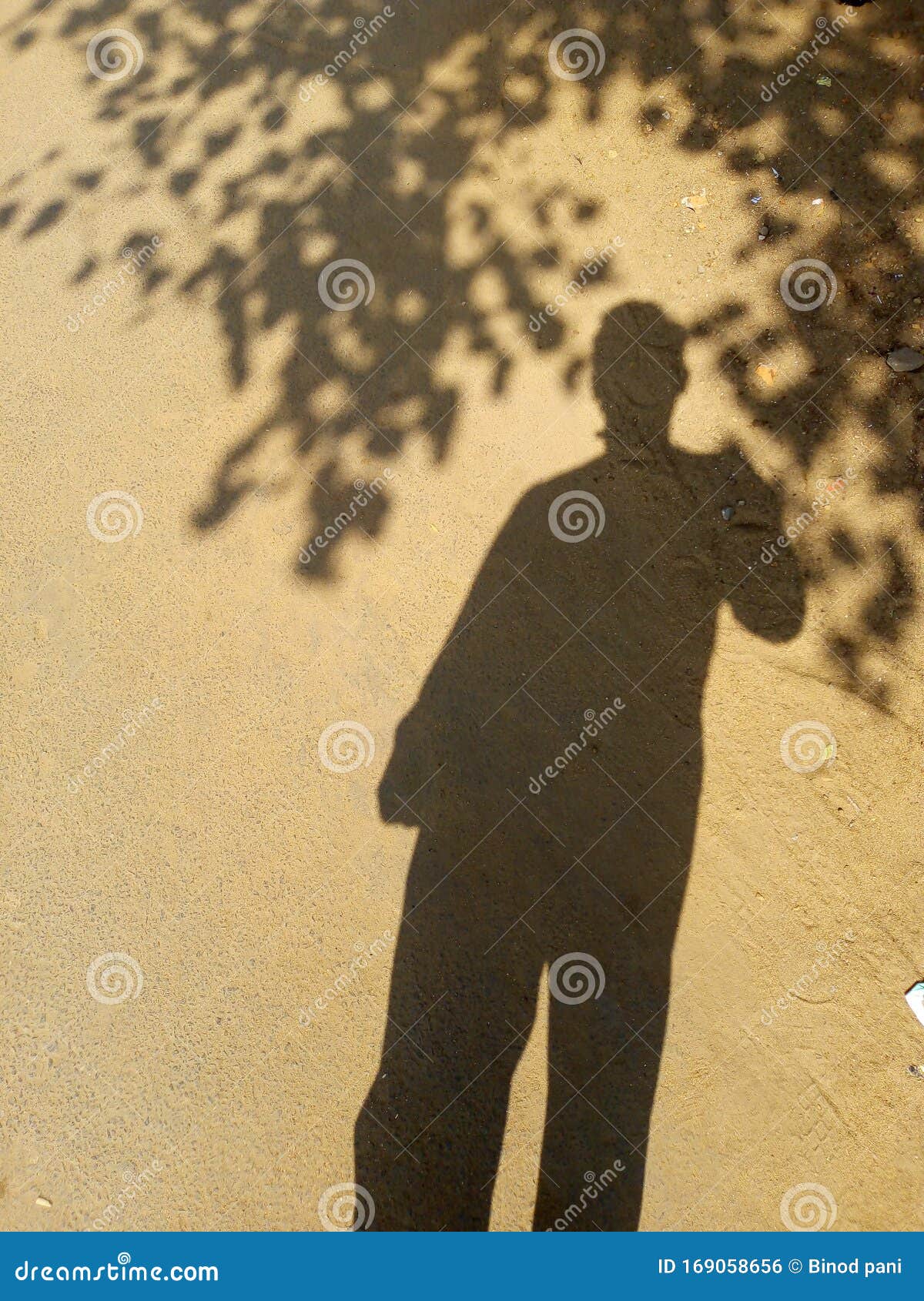 Sadows of a Person Standing Under a Tree Stock Photo - Image of tree ...