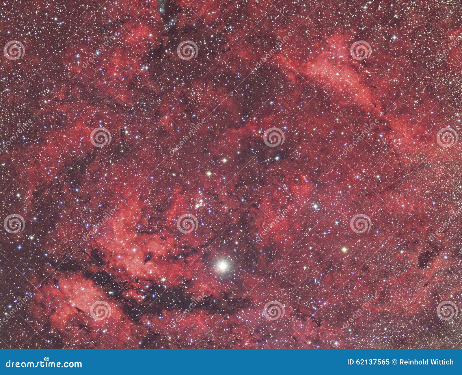 Sadr and Nebula in Constellation Cygnus Stock Image - Image of ...