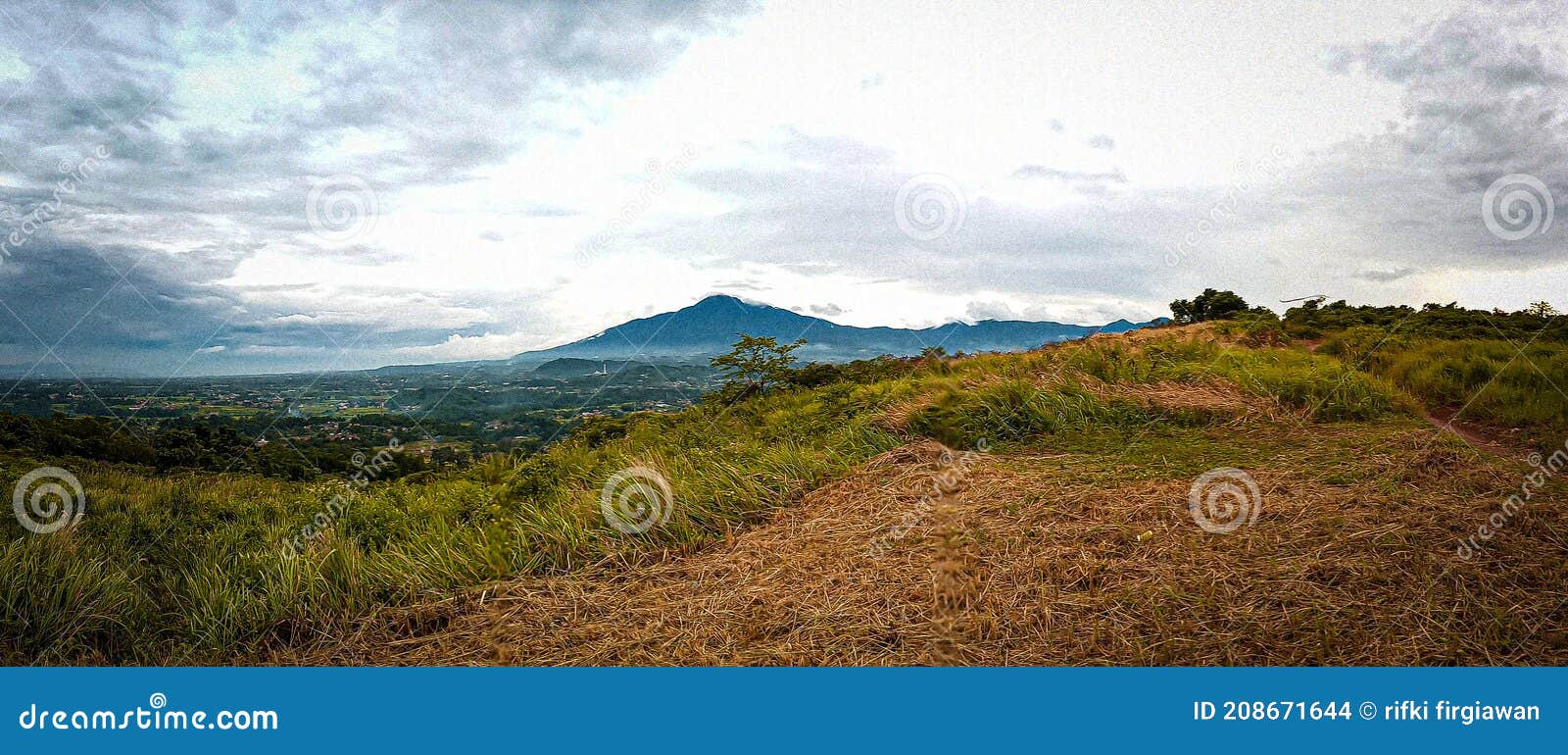 Safana stock photo. Image of prairie, landscape, grass - 208671644