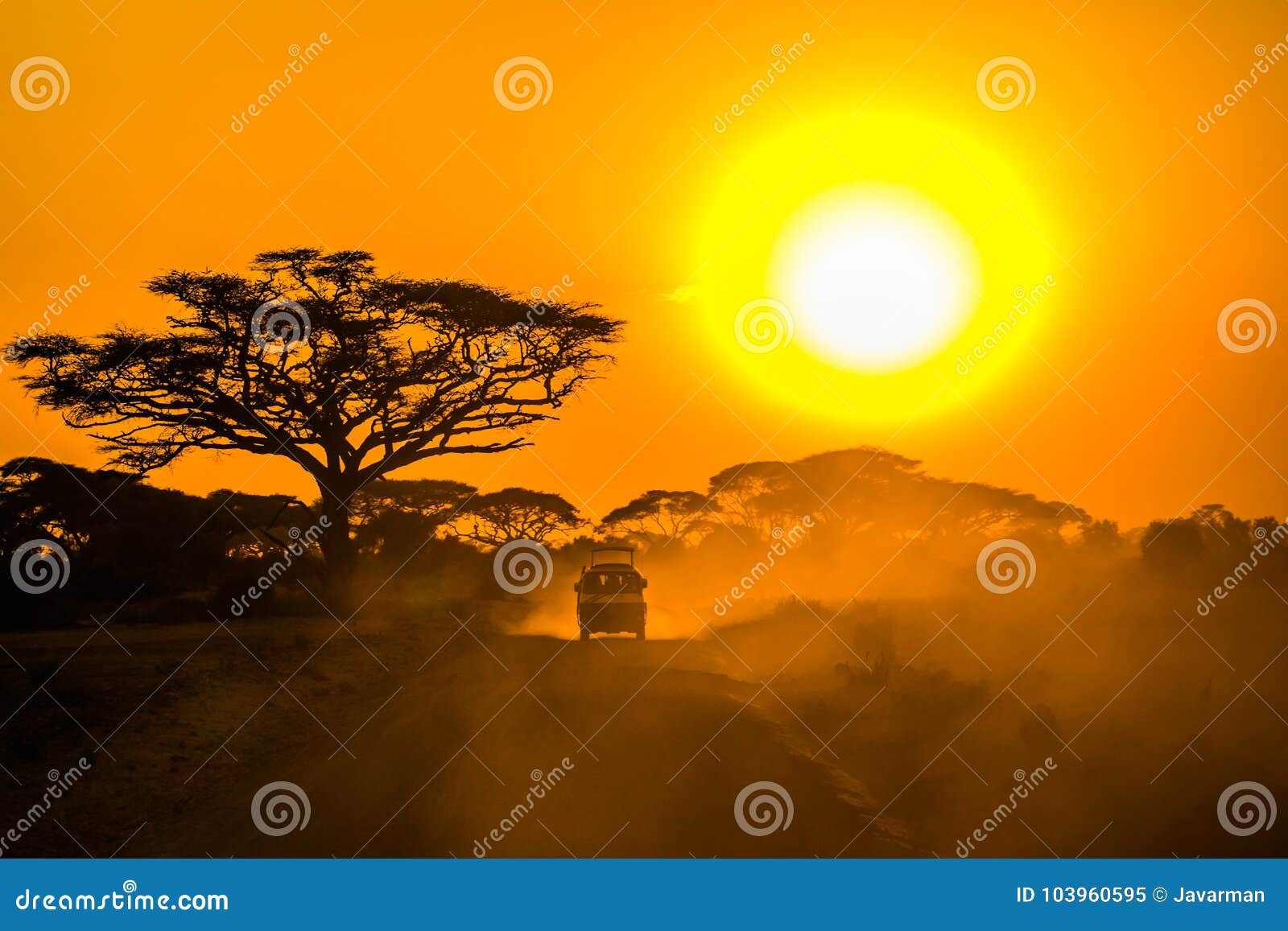 Safari Jeep Driving Through Savannah In The Sunset Royalty-Free Stock ...