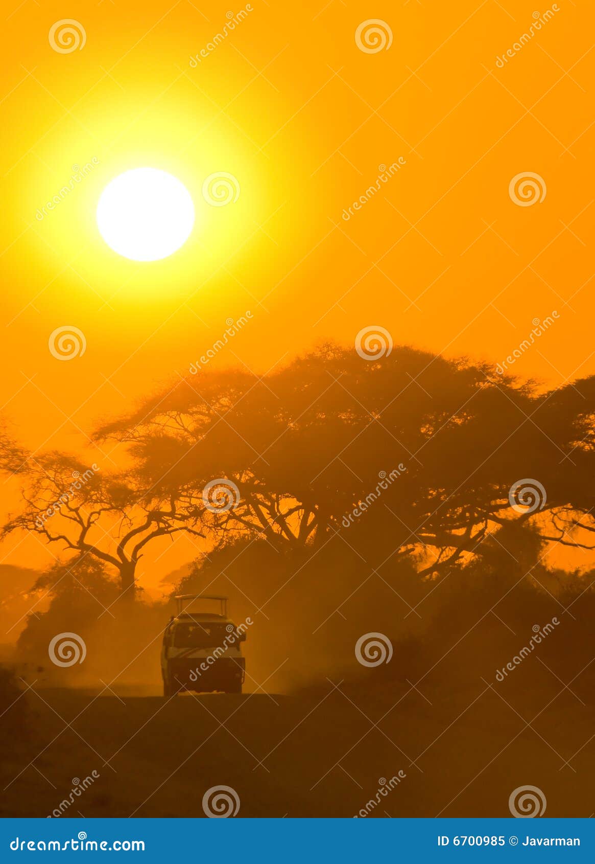 Safari Jeep Driving Through Savannah In The Sunset Royalty-Free Stock ...