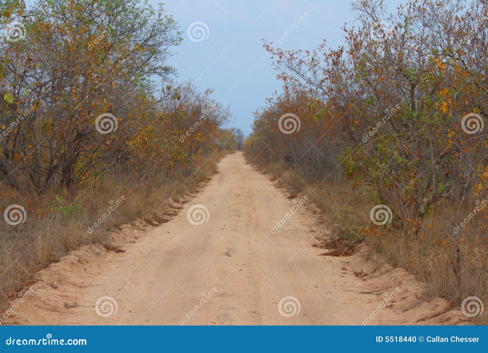 Safari Road Picture. Image: 5518440