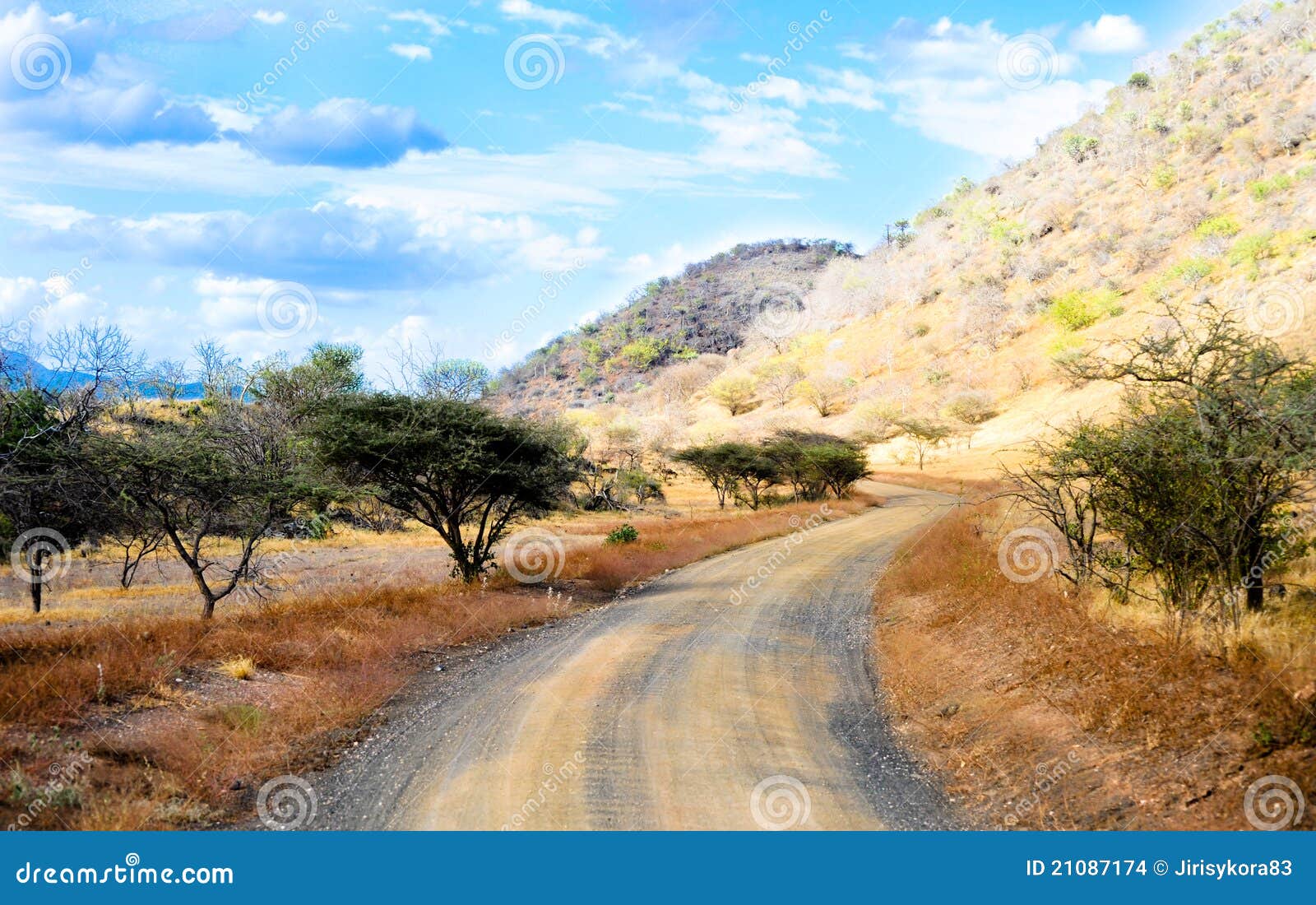 Safari road in Kenya stock photo. Image of nature, blue - 21087174