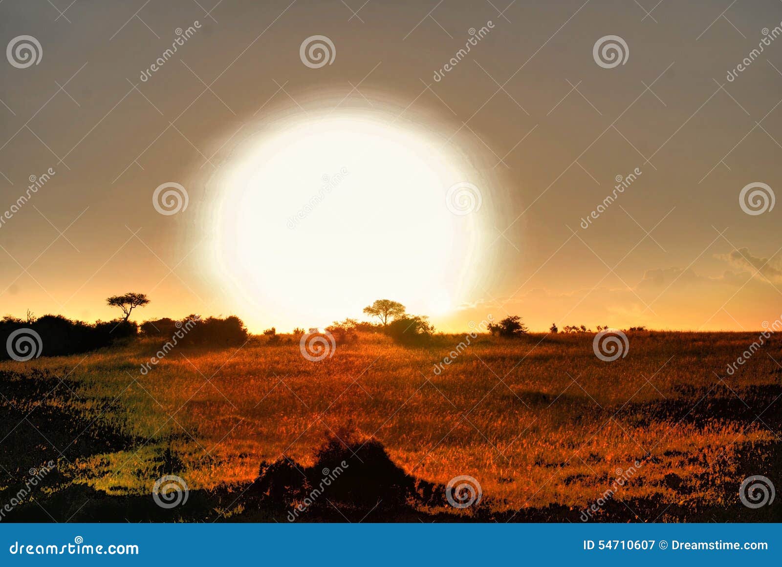 Safari sunset stock image. Image of masai, africa, sunset - 54710607