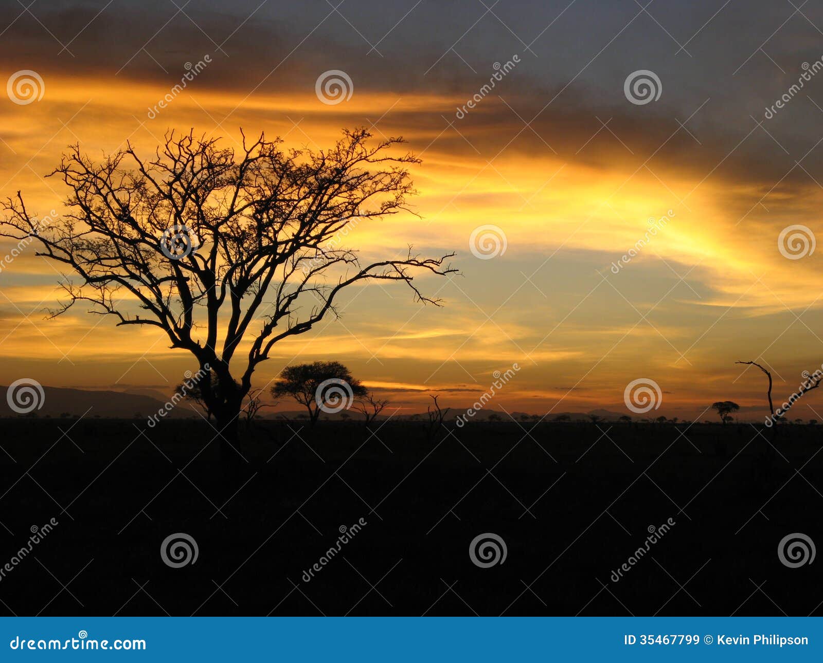 Safari Sunset stock image. Image of nature, dusk, kenya - 35467799