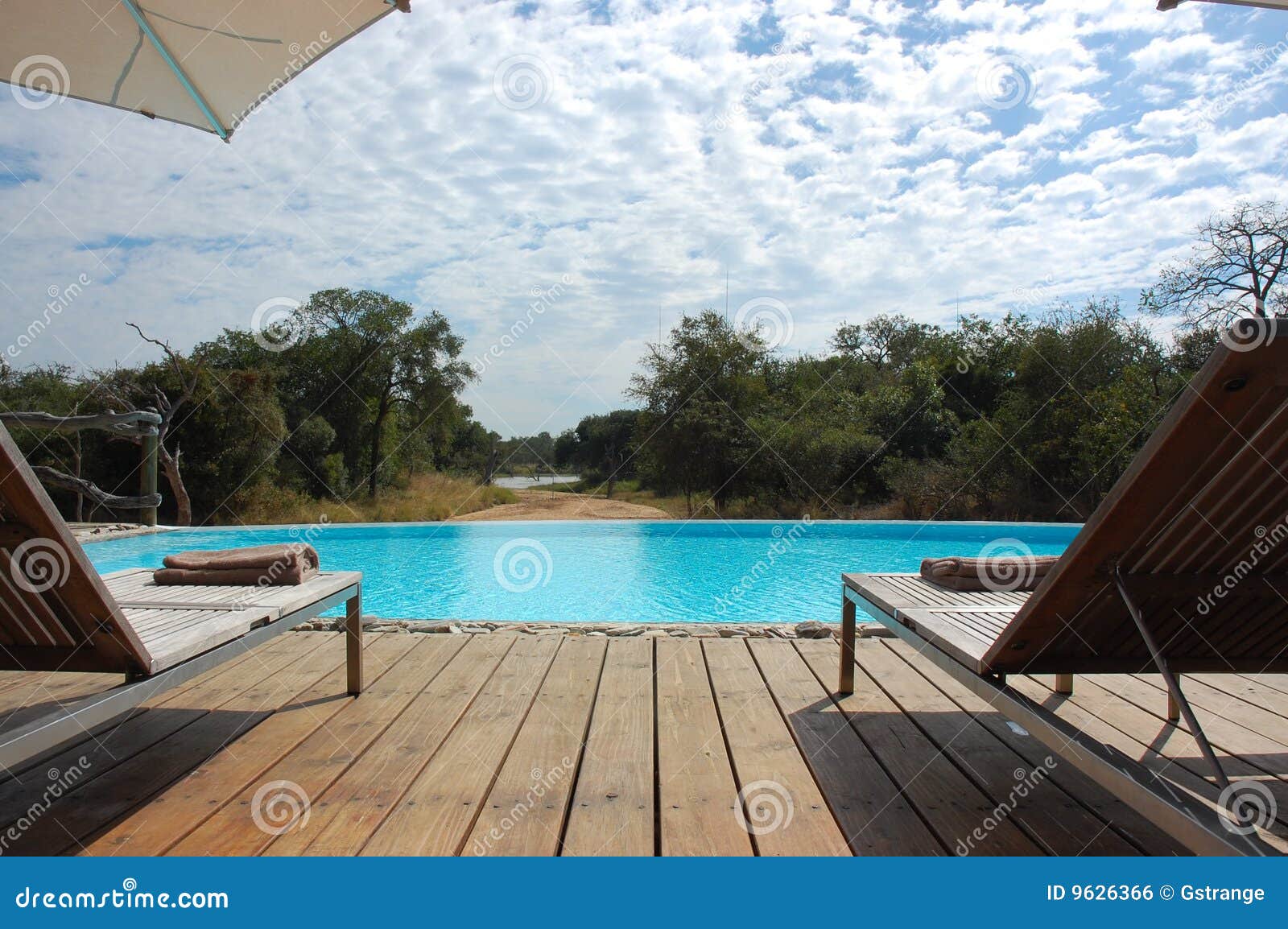 Safari Swimming Pool stock photo. Image of blue, africa - 9626366