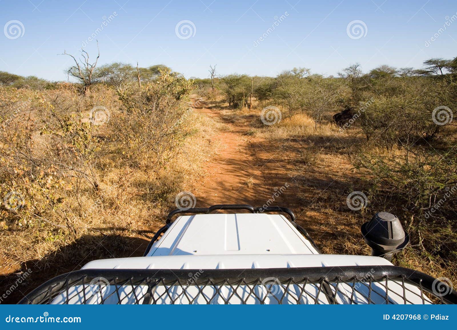 Safari truck stock photo. Image of travel, bush, country - 4207968