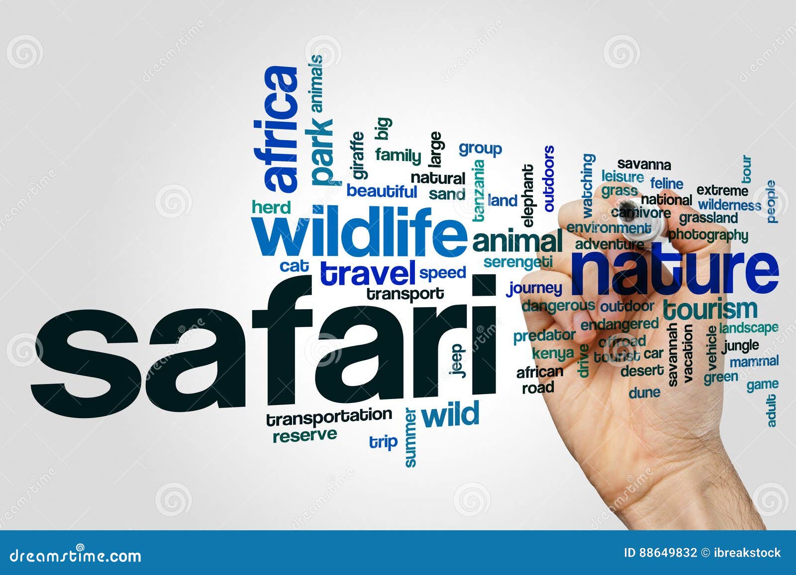 Safari word cloud stock photo. Image of outdoors, elephant - 88649832