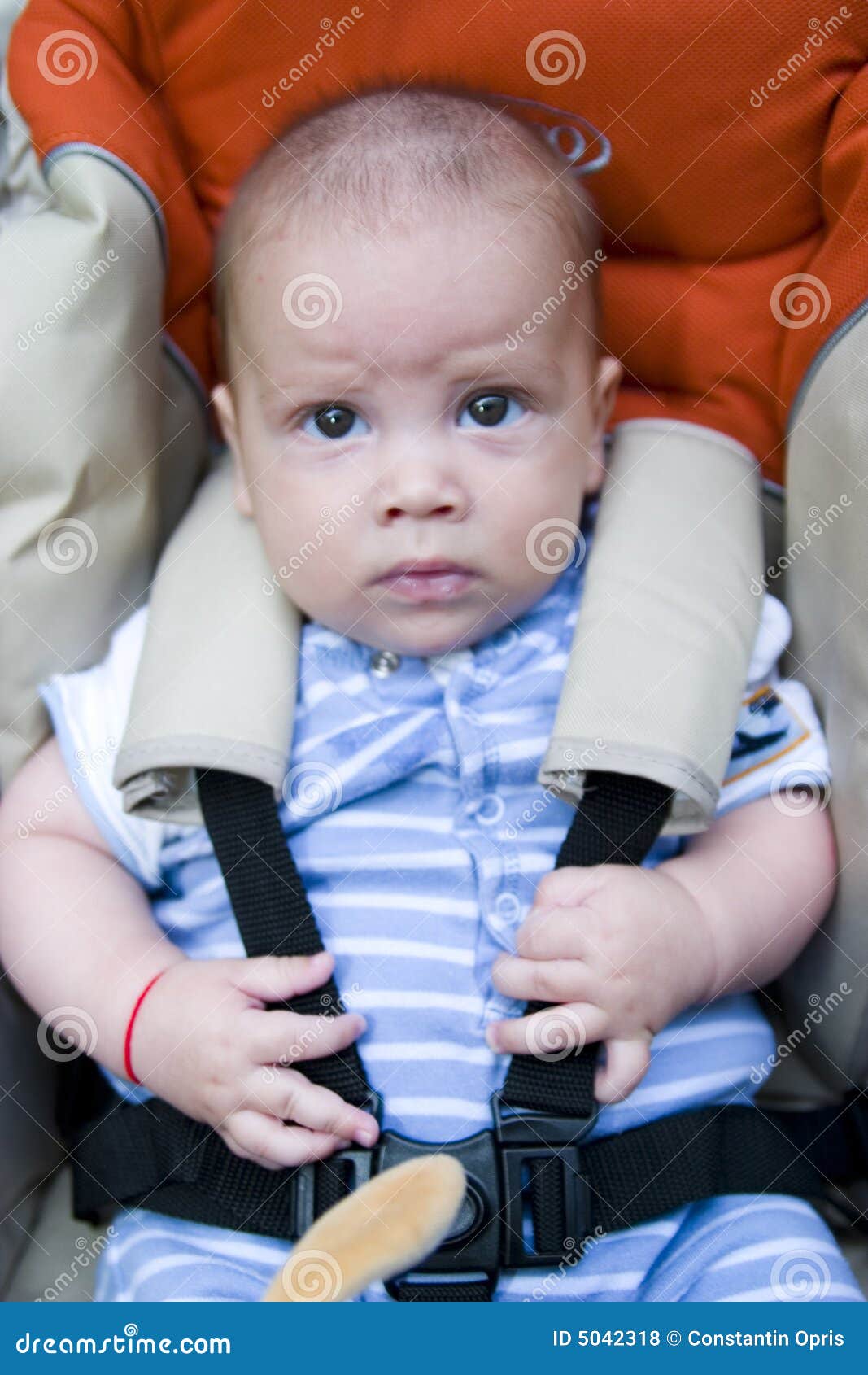 Safe Baby stock photo. Image of cute, belt, secure, safety - 5042318