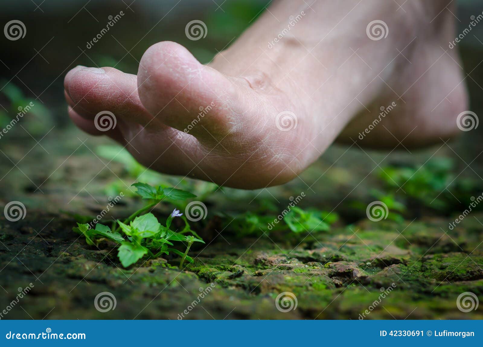 Safe earth stock image. Image of environmental, earth - 42330691