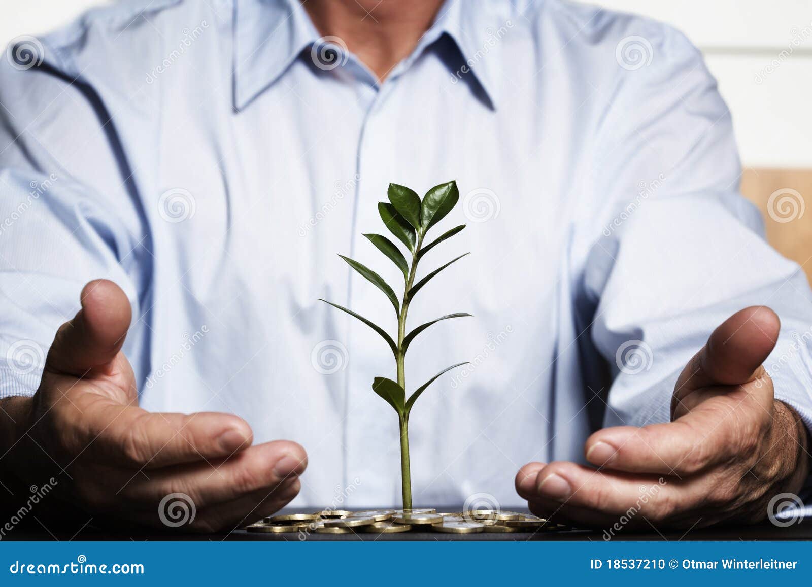 Safe Growth of Financial Wealth. Stock Photo - Image of blue, euro ...