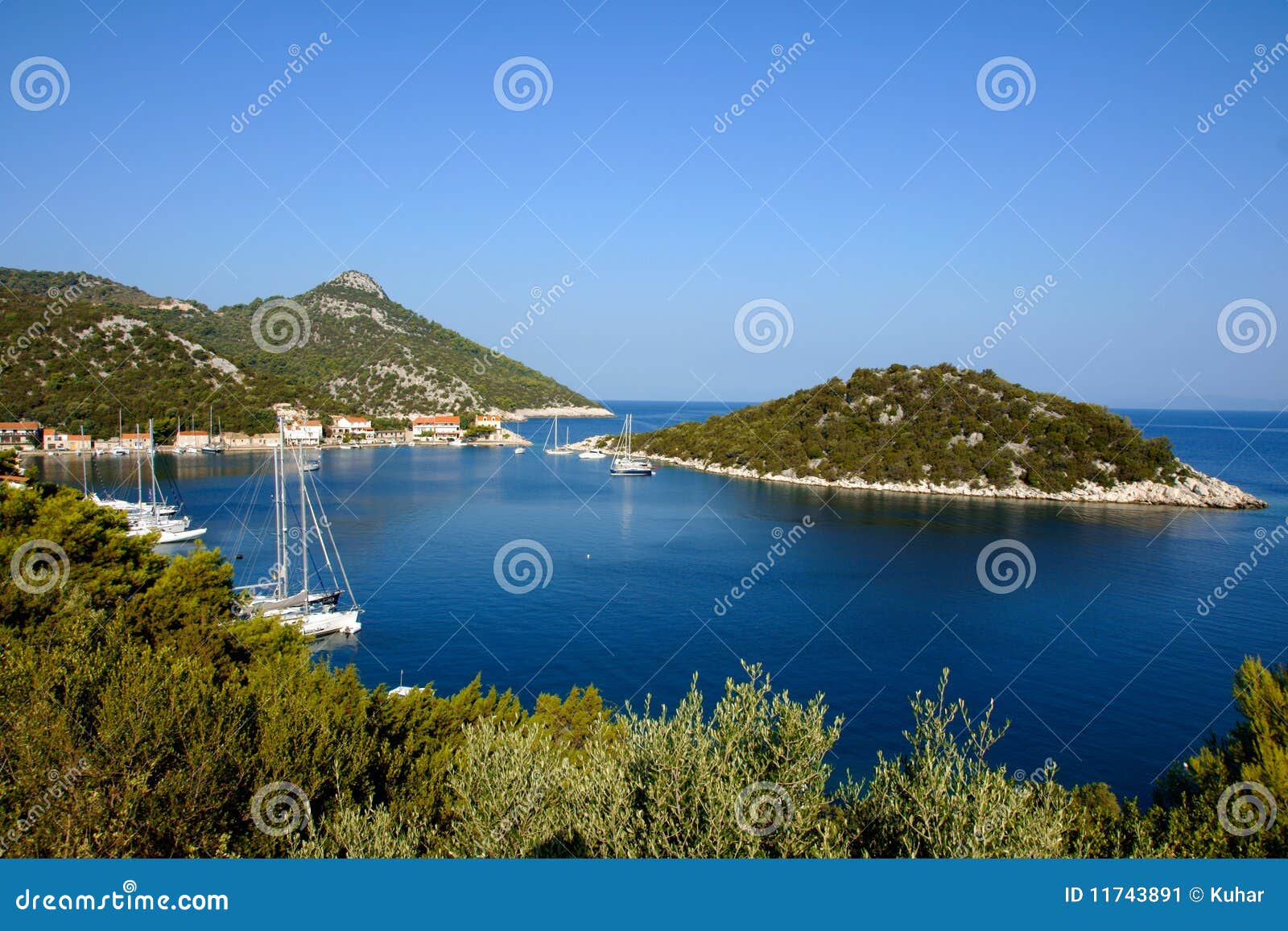 Safe Harbor stock image. Image of tourist, catamaran - 11743891