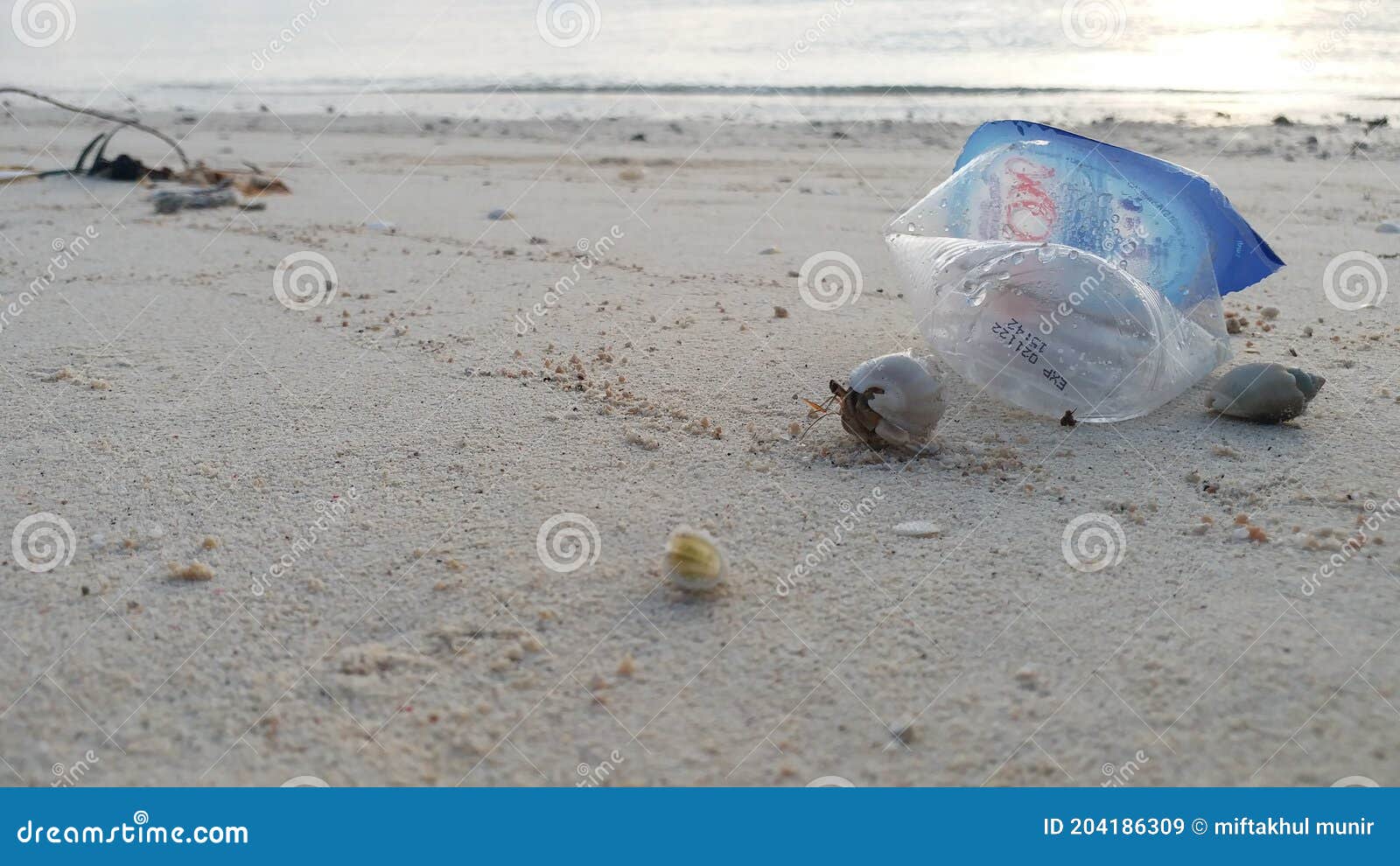 Safe me stock image. Image of trash, animals, garbage - 204186309