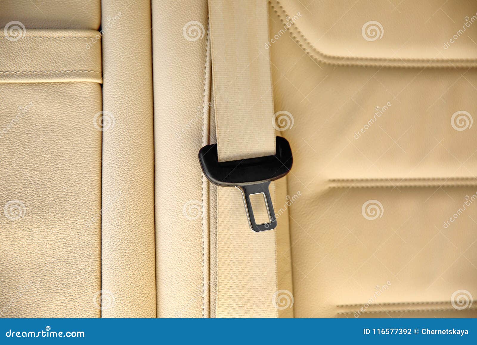 Safety buckle in car stock photo. Image of injury, lock - 116577392