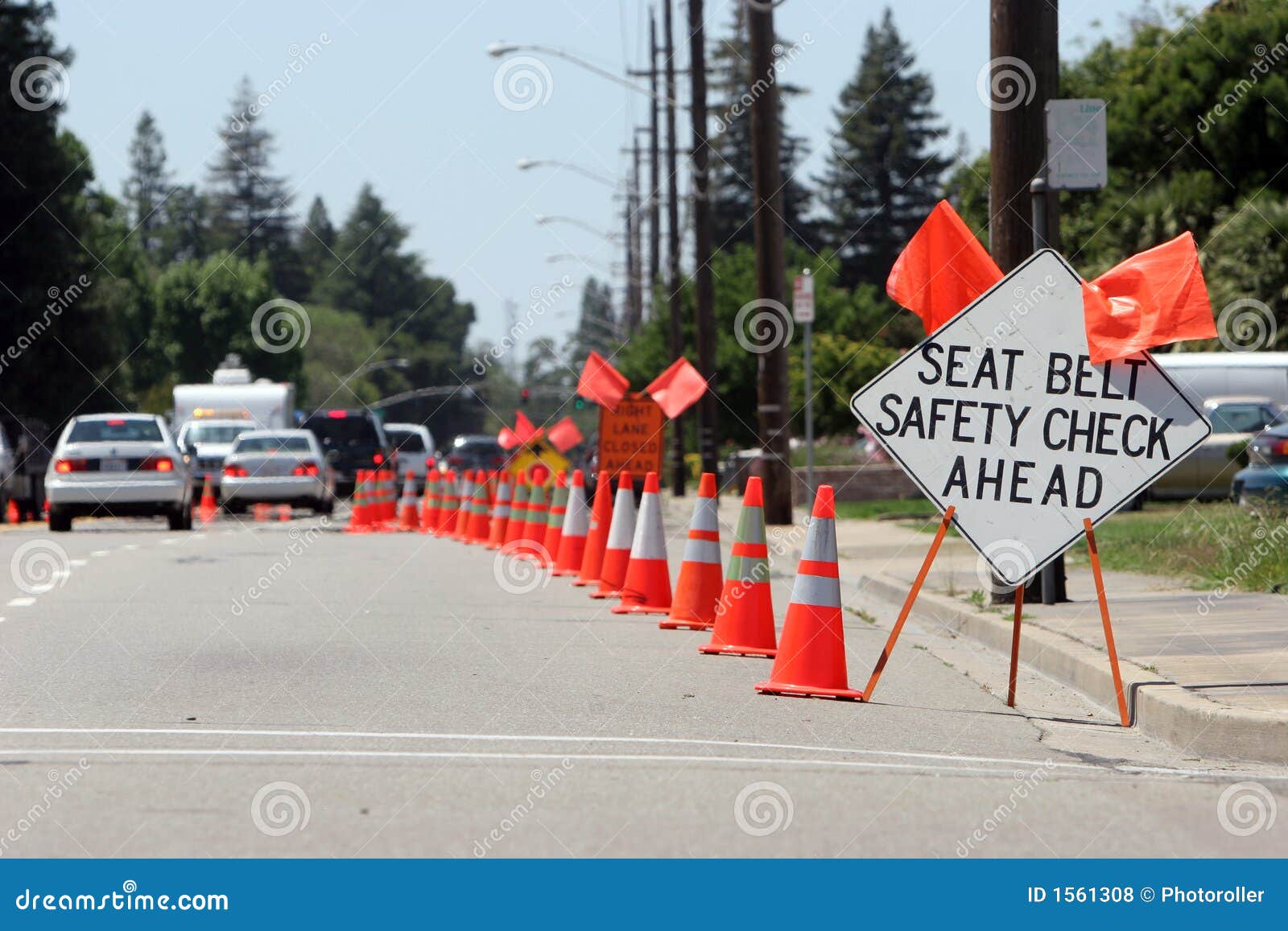 Safety Check stock photo. Image of sign, safetycheck, cones - 1561308