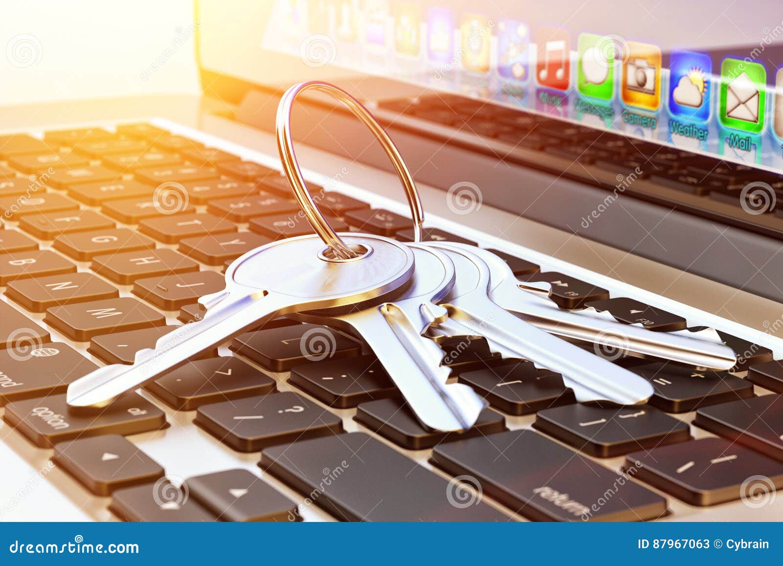 Safety Data Access, Privacy Technology, Computer Data Protection and ...