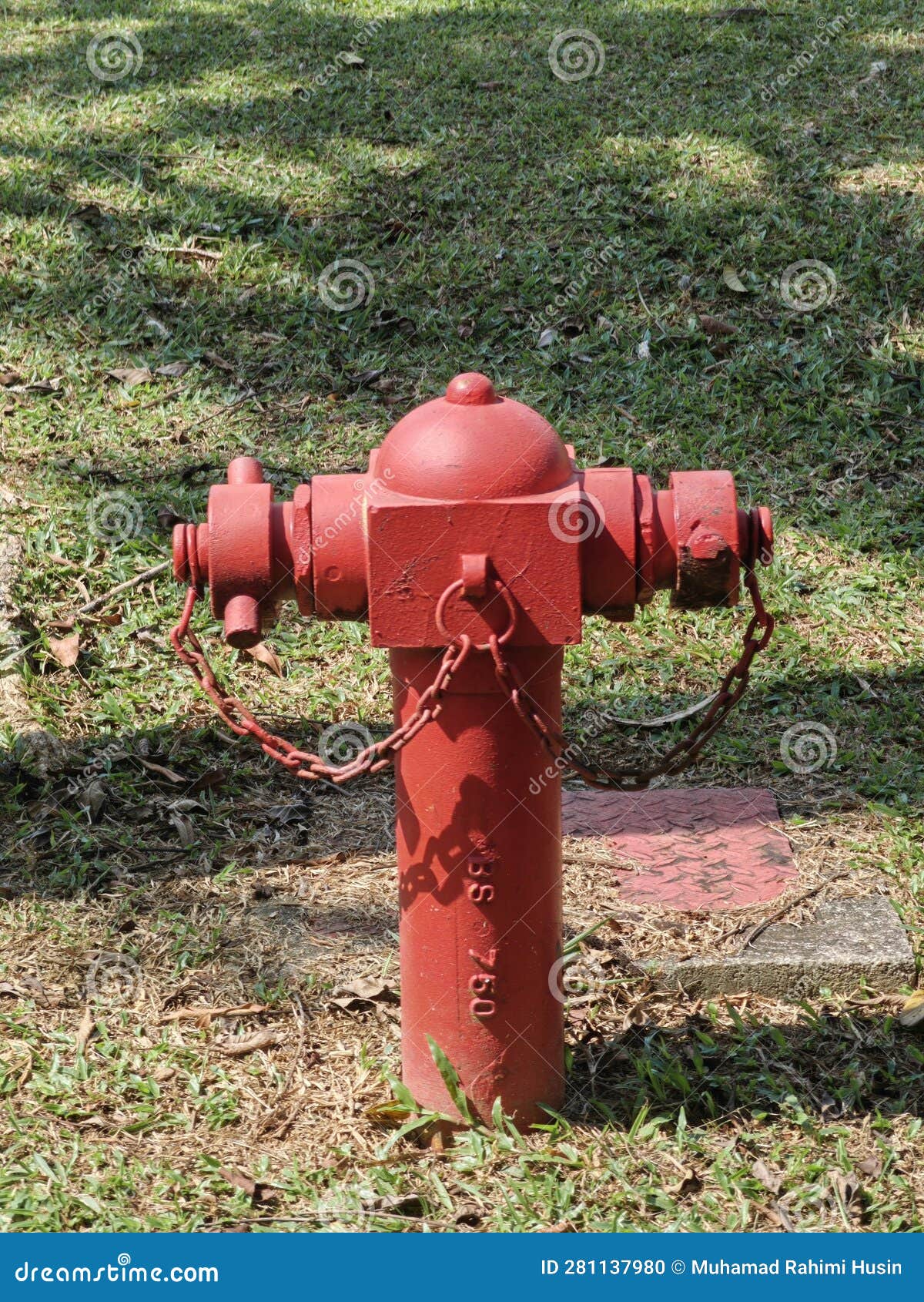 A Safety Fire Hydrant is Put at Garden Stock Photo - Image of firehose ...